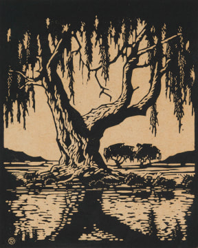 Wilgerboom in die Somer (Willow Tree in Summer) (Nilant 79) by Jacob ...