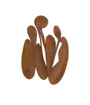 Simplified Botanical Form by Geoffrey Armstrong | Strauss & Co