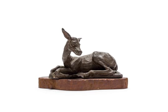 Impala by Jo Roos | Strauss & Co