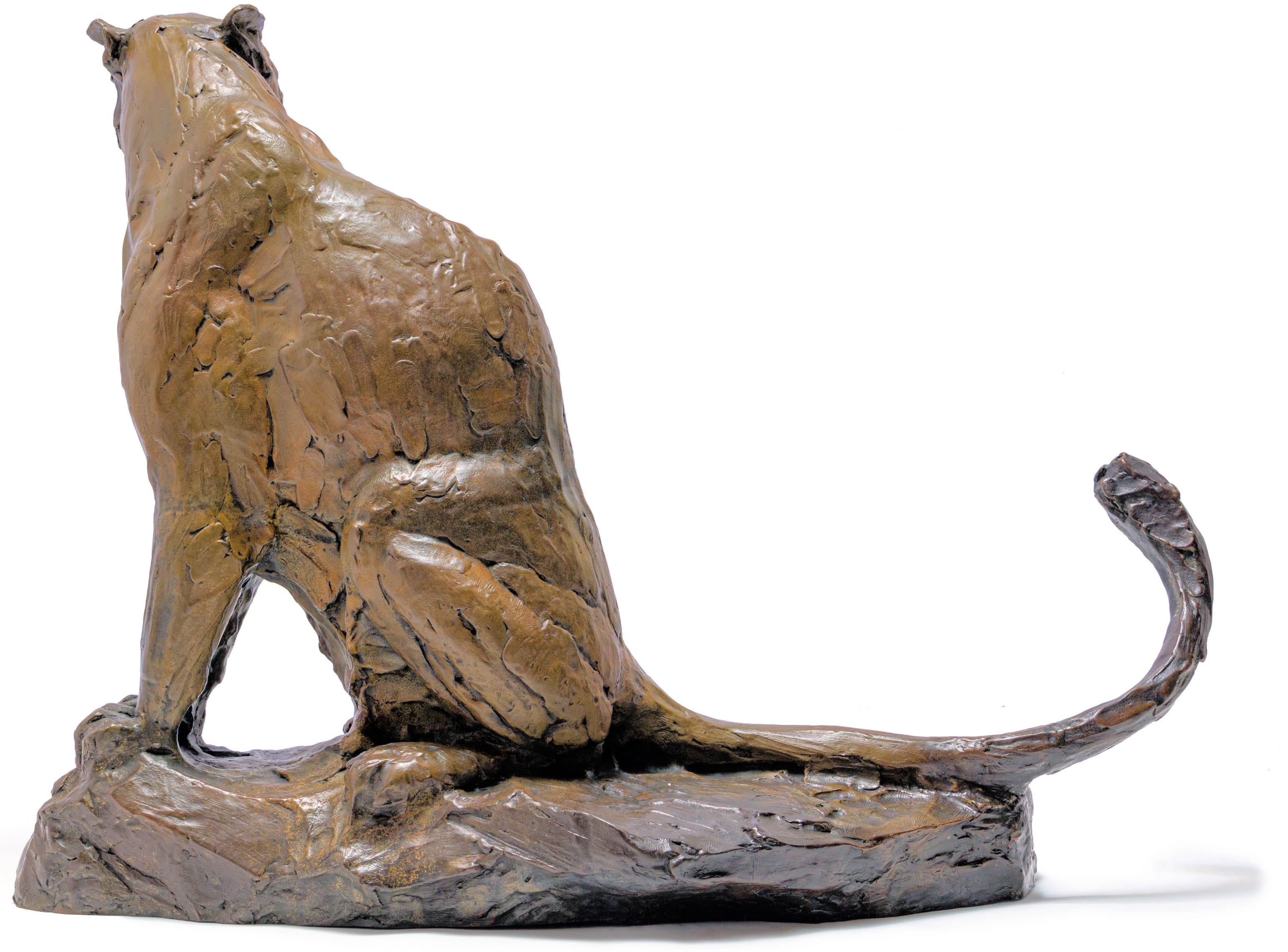 Seated Leopard by Dylan Lewis | Strauss & Co