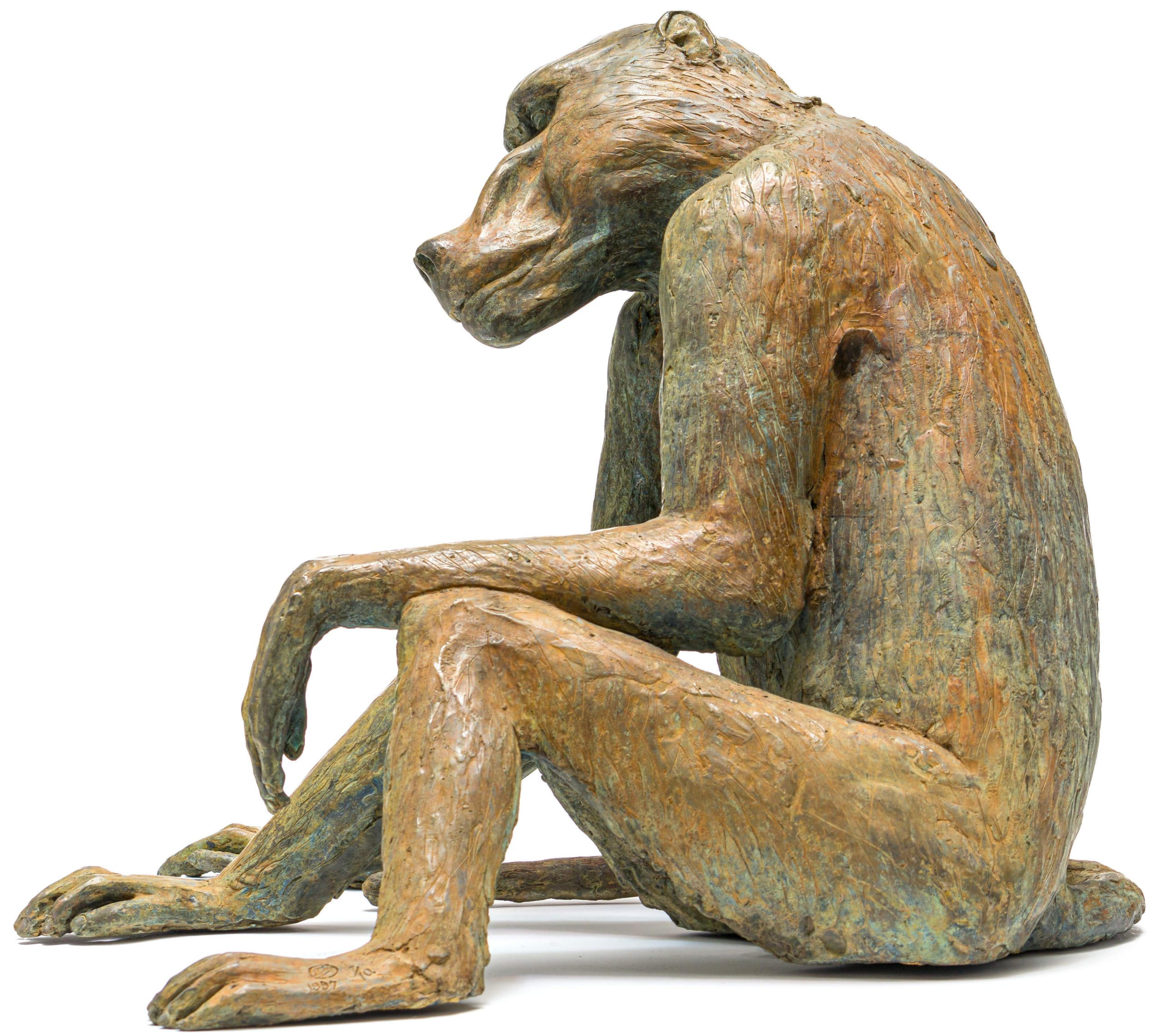 Baboon by Donald Greig | Strauss & Co