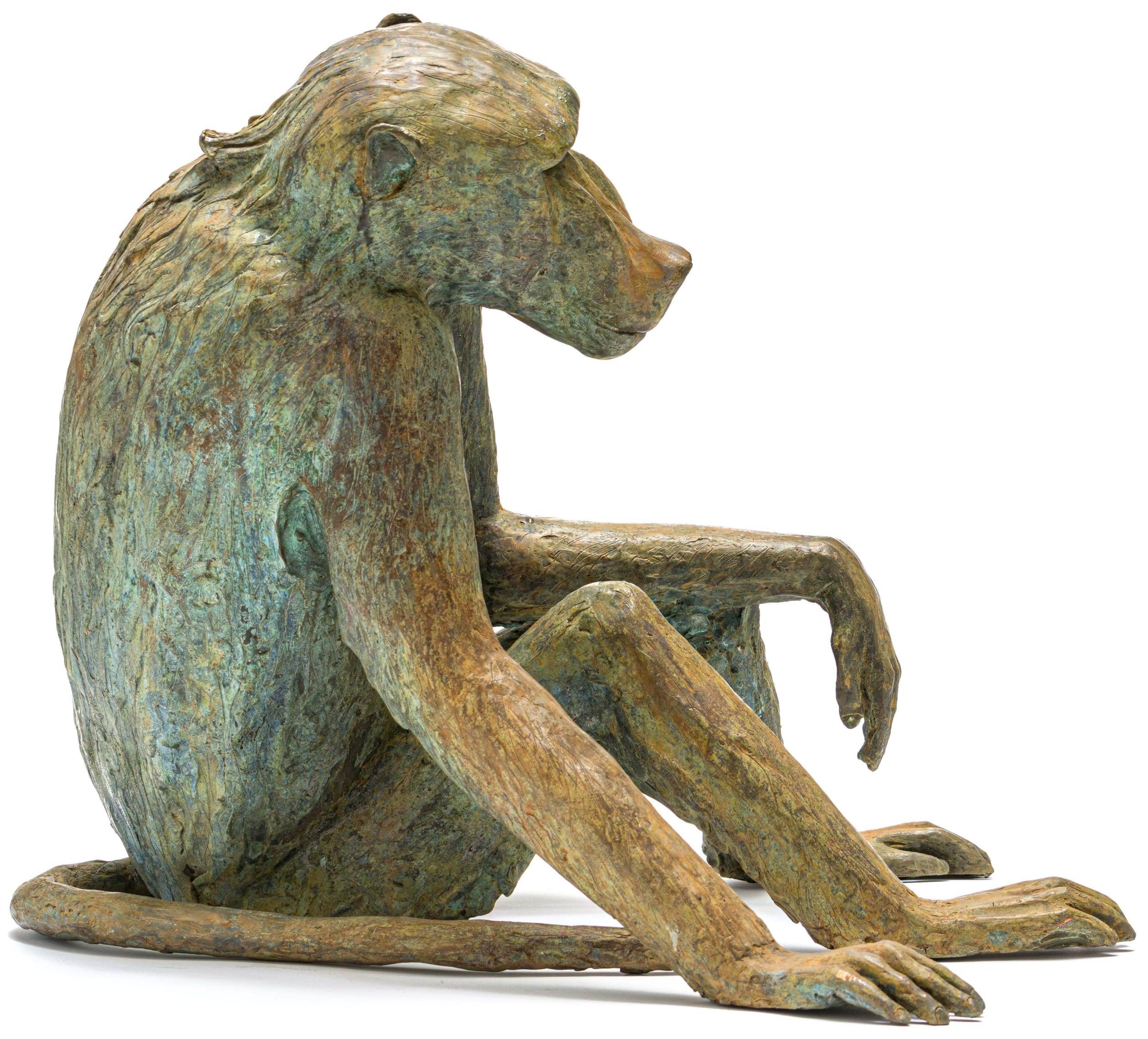 Baboon by Donald Greig | Strauss & Co