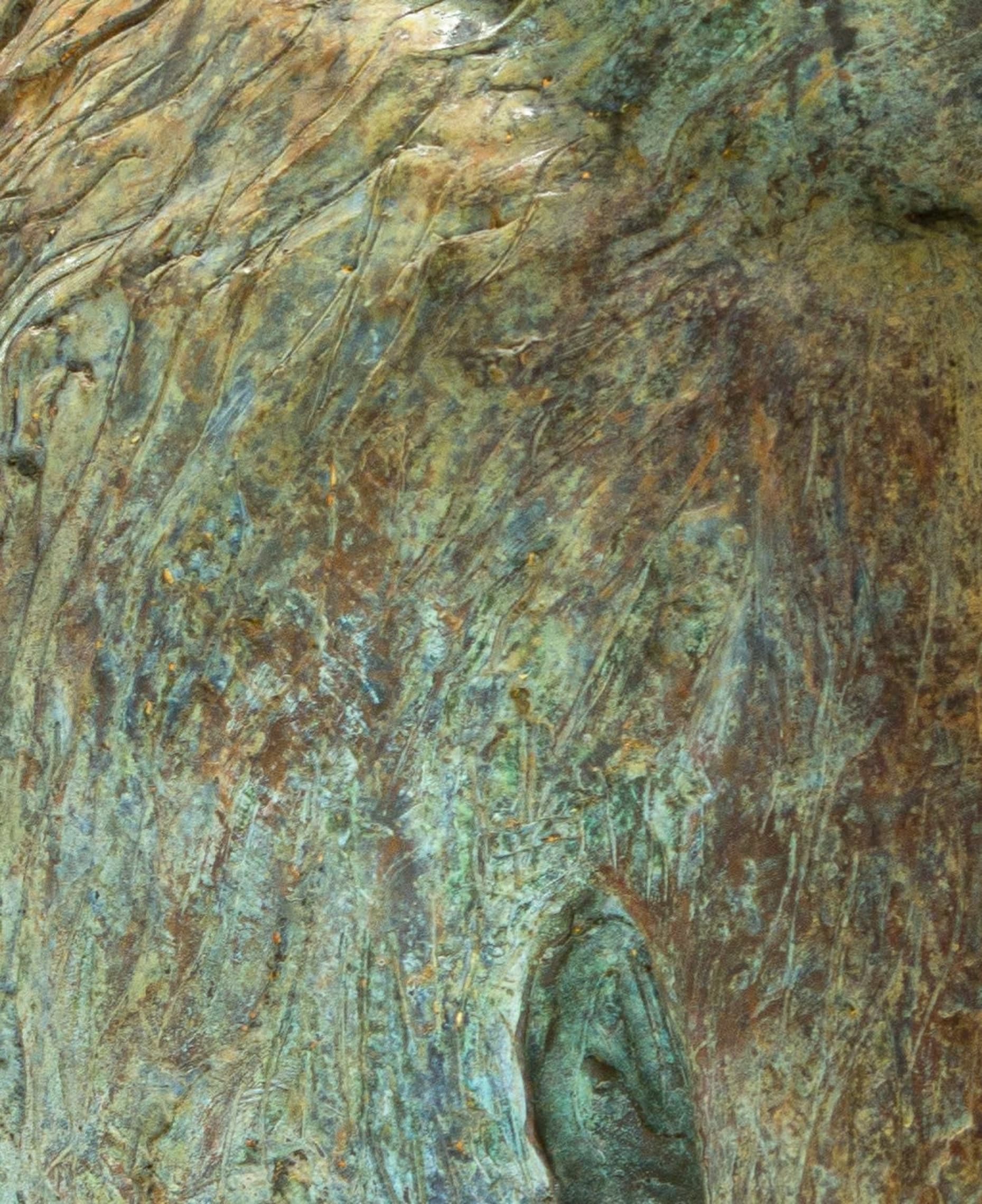 Baboon by Donald Greig | Strauss & Co