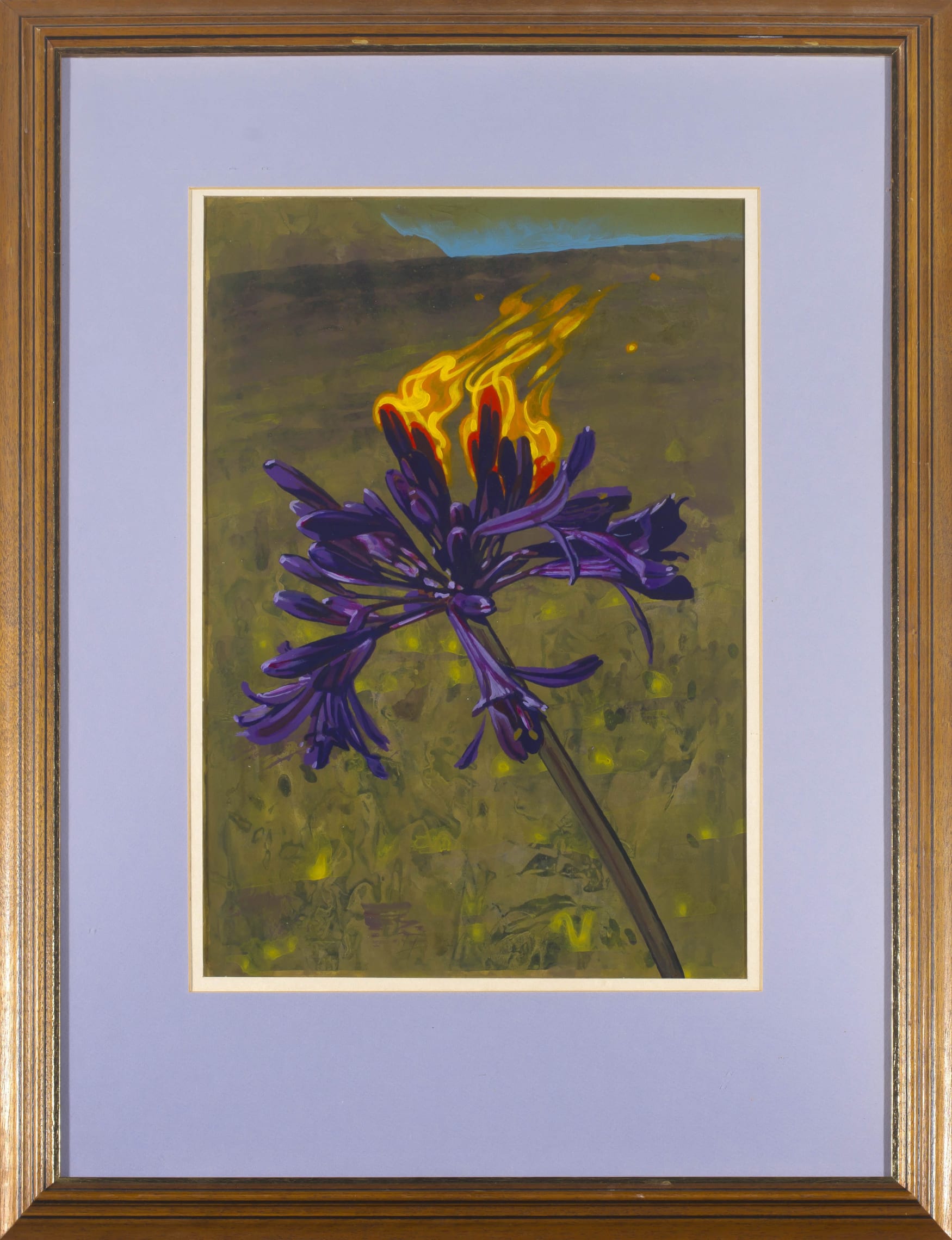 Agapanthus Africanus by Helmut Starcke | Strauss & Co