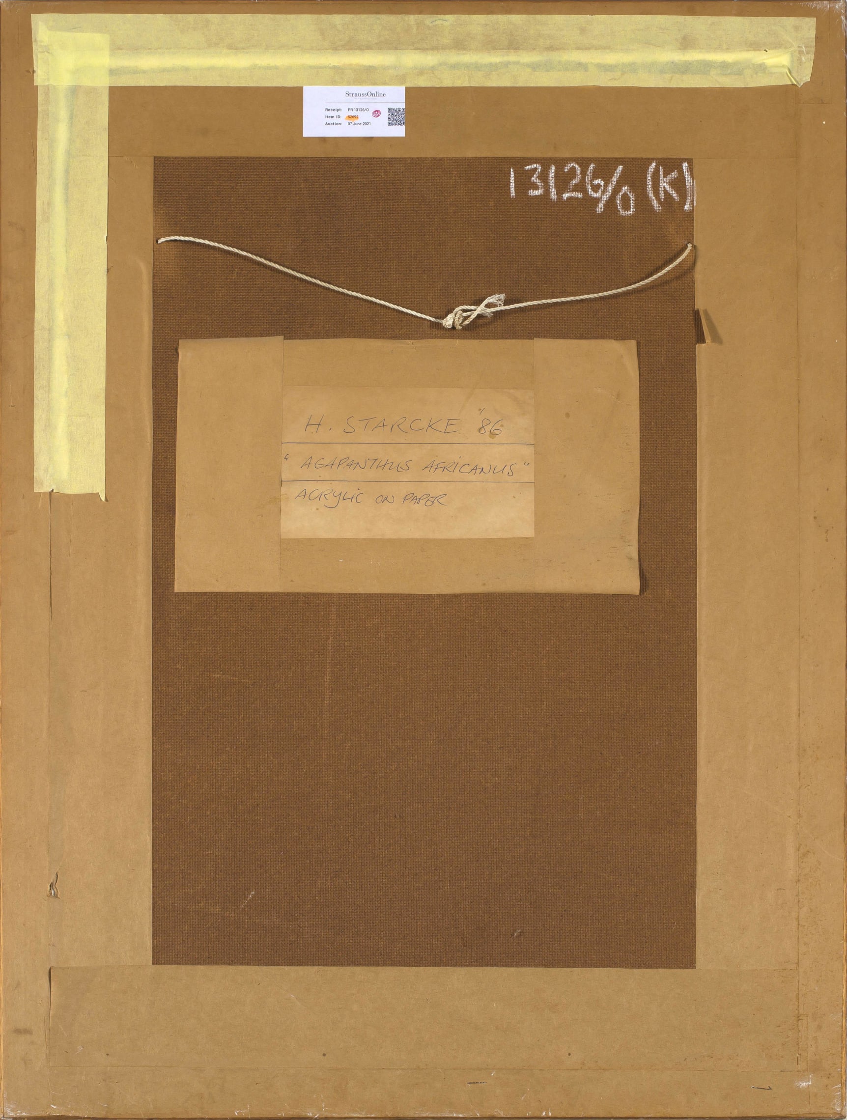 Agapanthus Africanus by Helmut Starcke | Strauss & Co