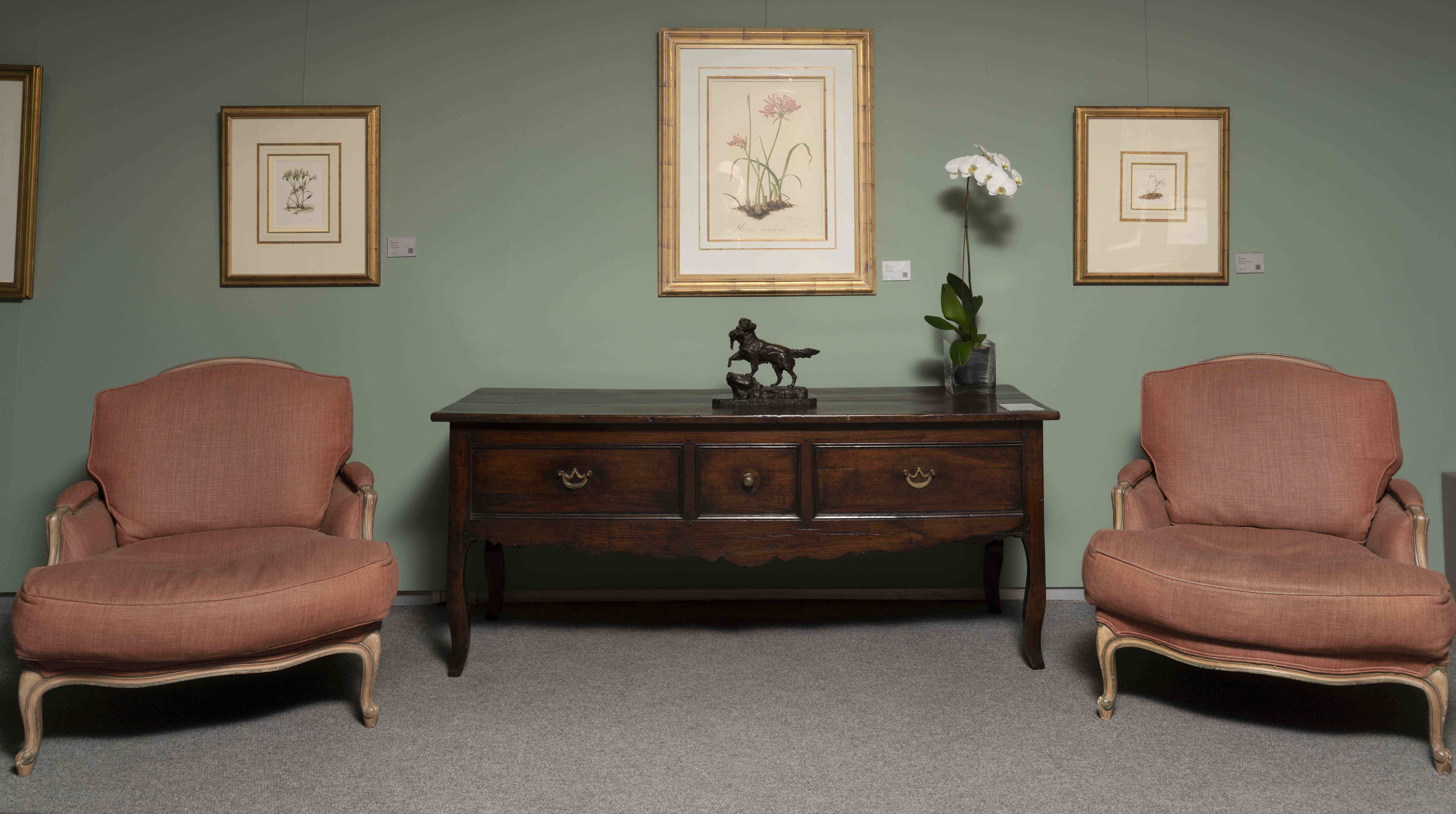 Pelargonium by Gillian Condy | Strauss & Co