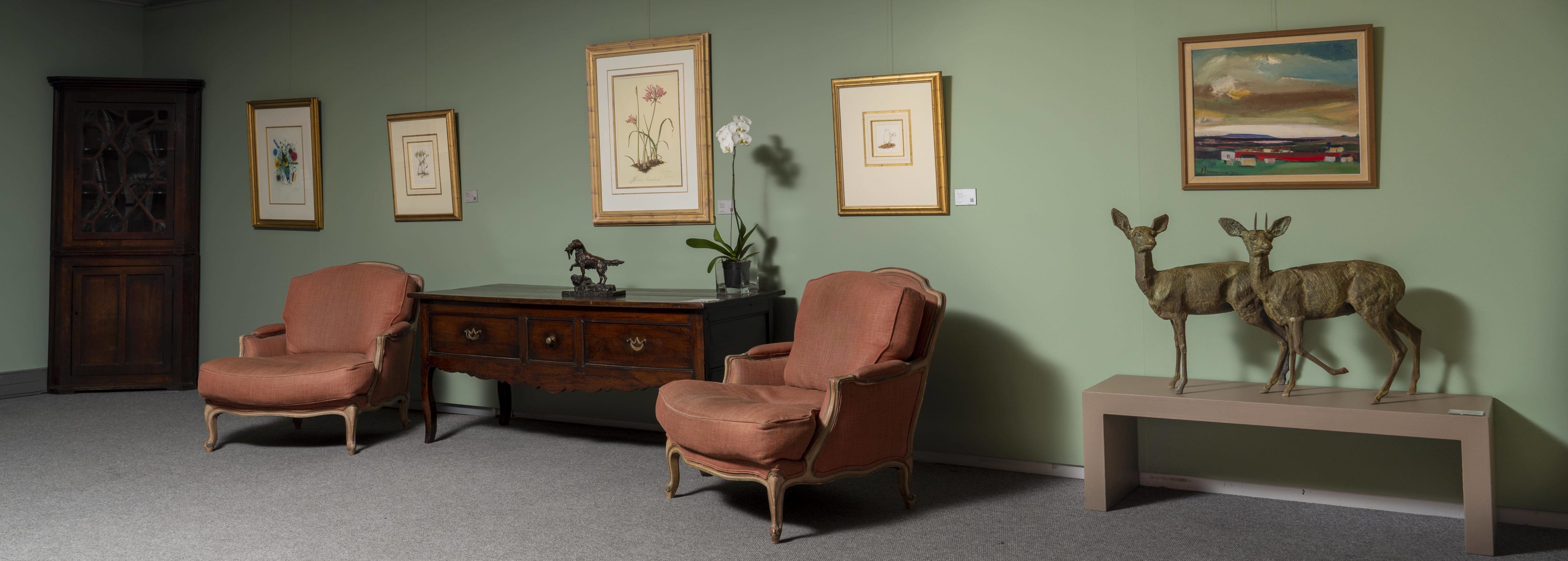 Pelargonium by Gillian Condy | Strauss & Co