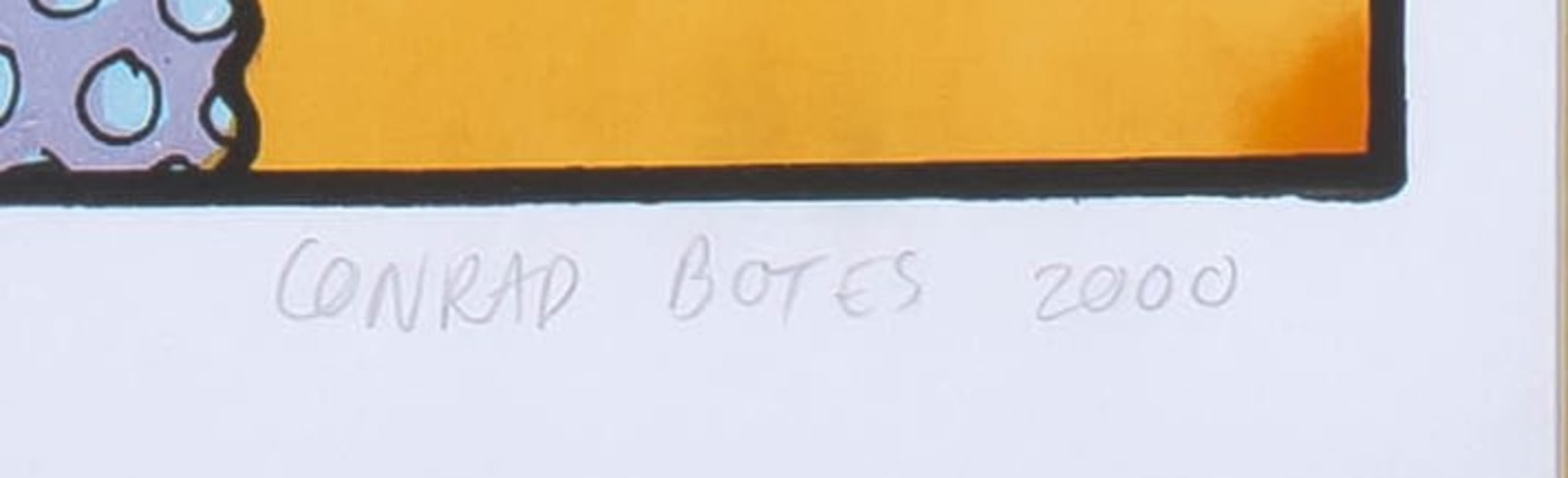 Bitterkomix by Conrad Botes | Strauss & Co