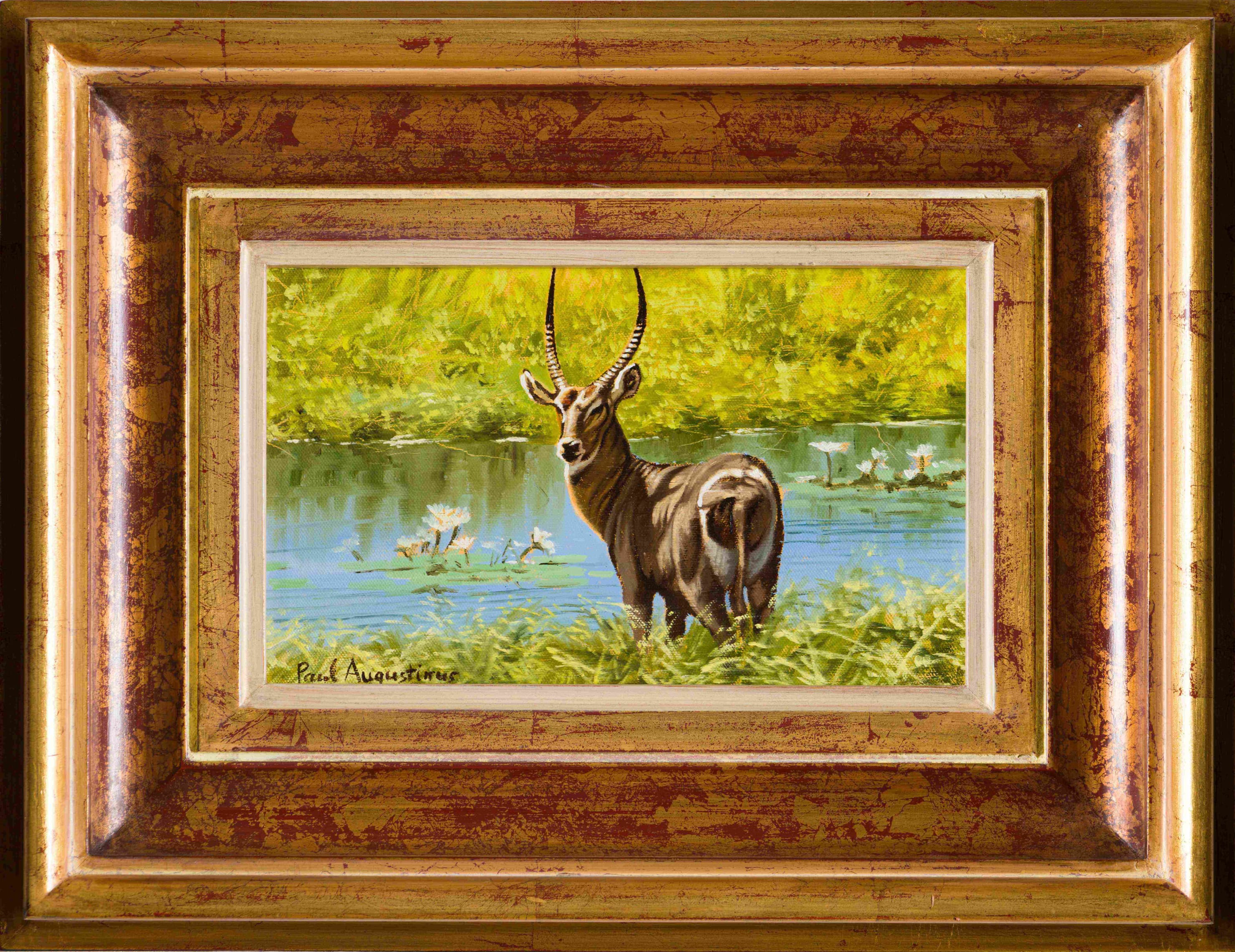Waterbuck by Paul Augustinus | Strauss & Co