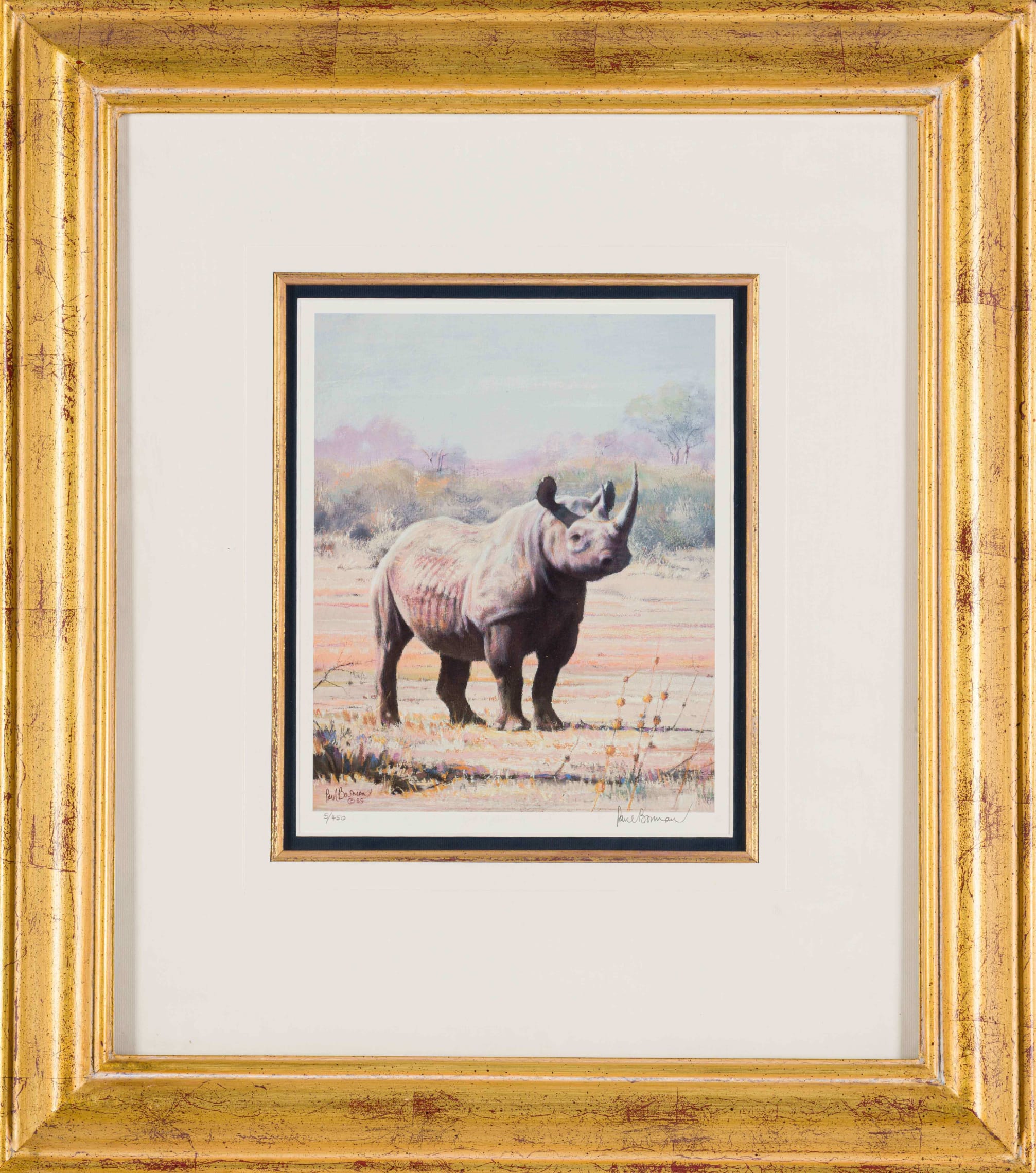 Rhino by Paul Bosman | Strauss & Co
