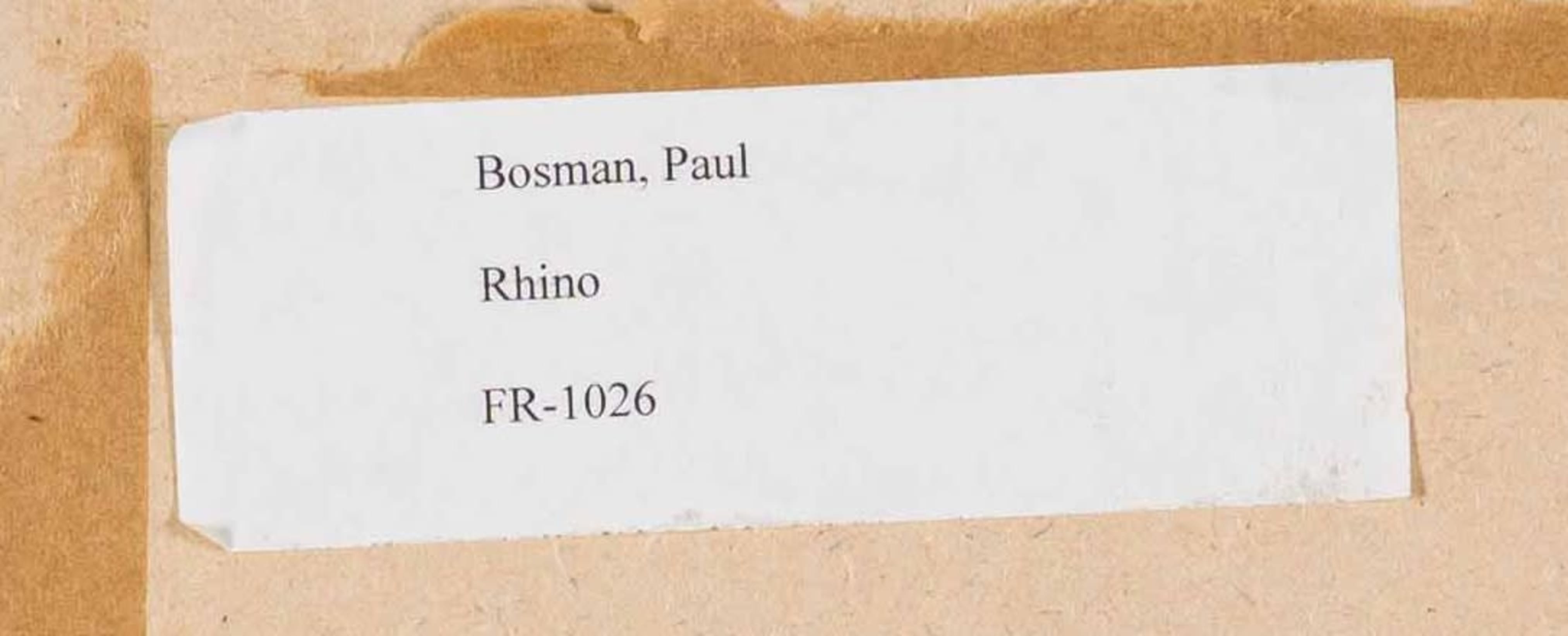 Rhino by Paul Bosman | Strauss & Co