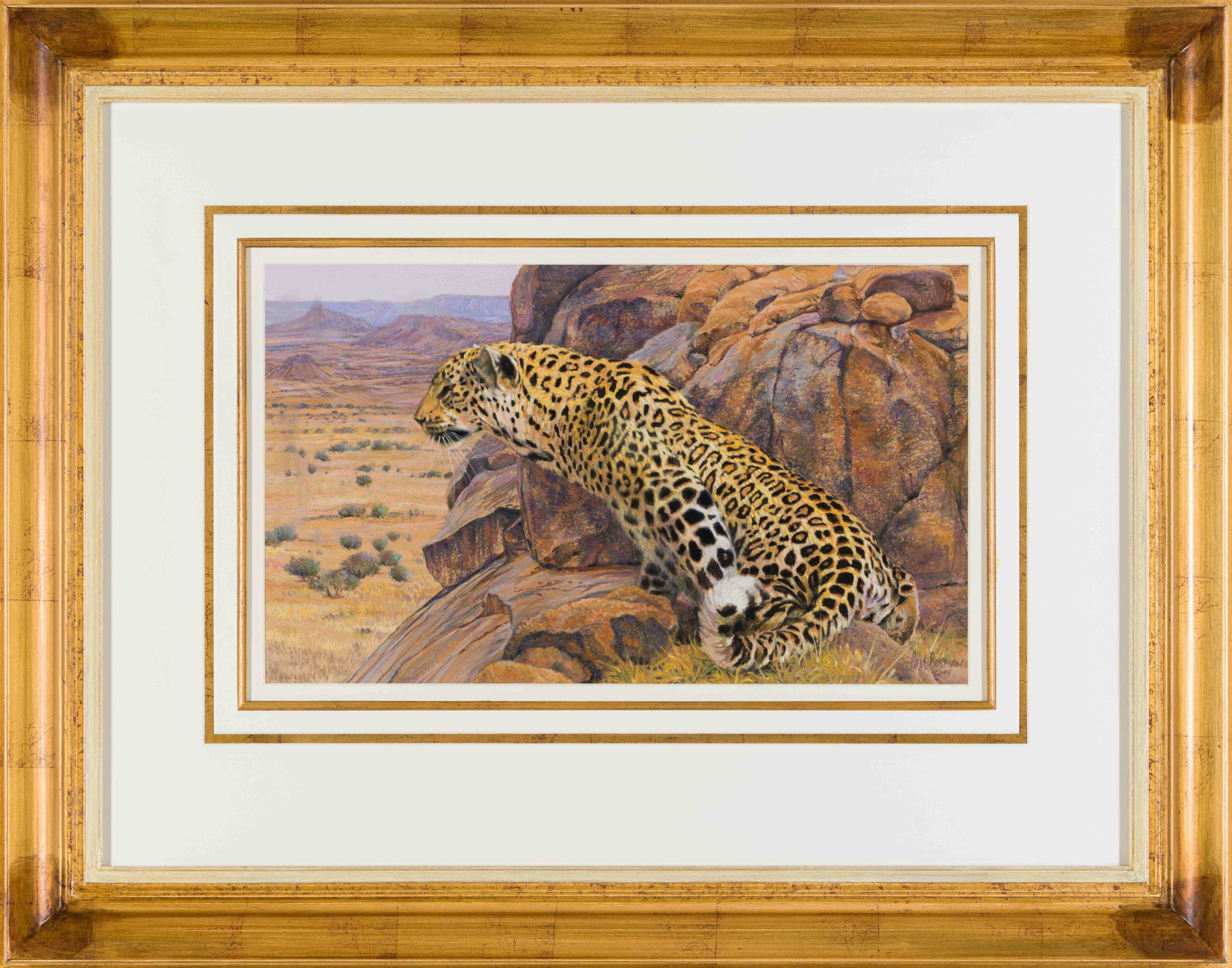 Seated Leopard by Paul Bosman | Strauss & Co