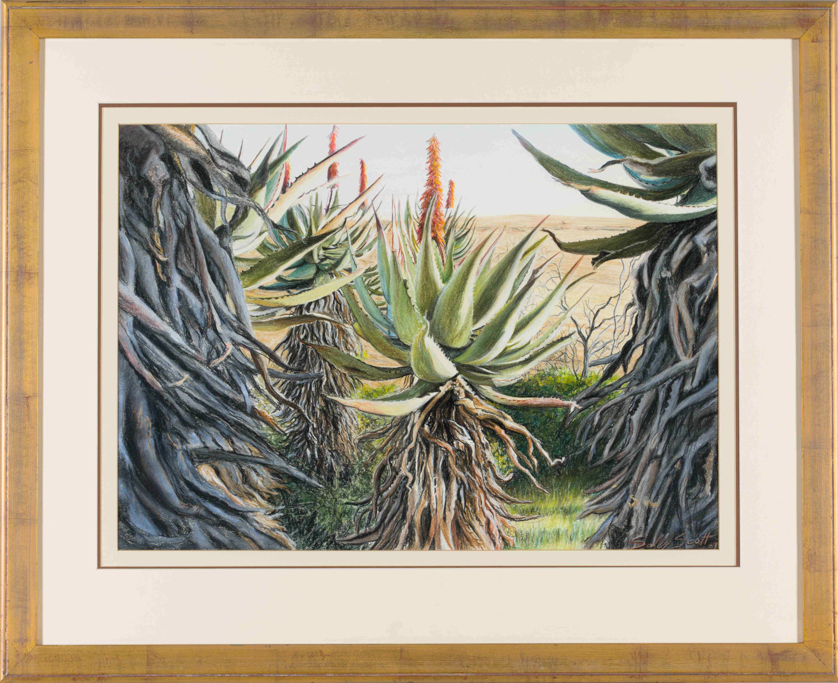 Afternoon Light by Sally Scott | Strauss & Co