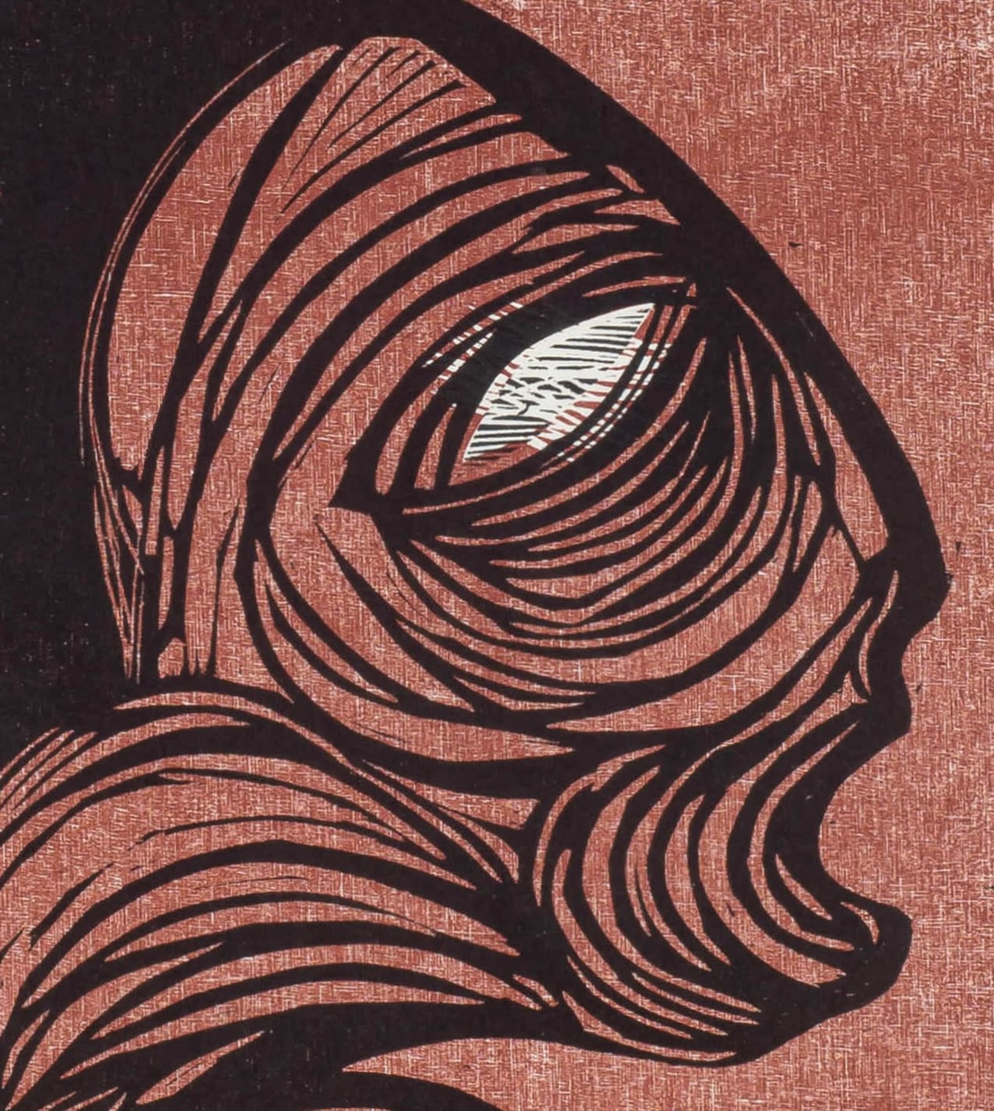 Shaka's Regiment in Horn Formation, three by Pondo's Bring Shaka Peace ...