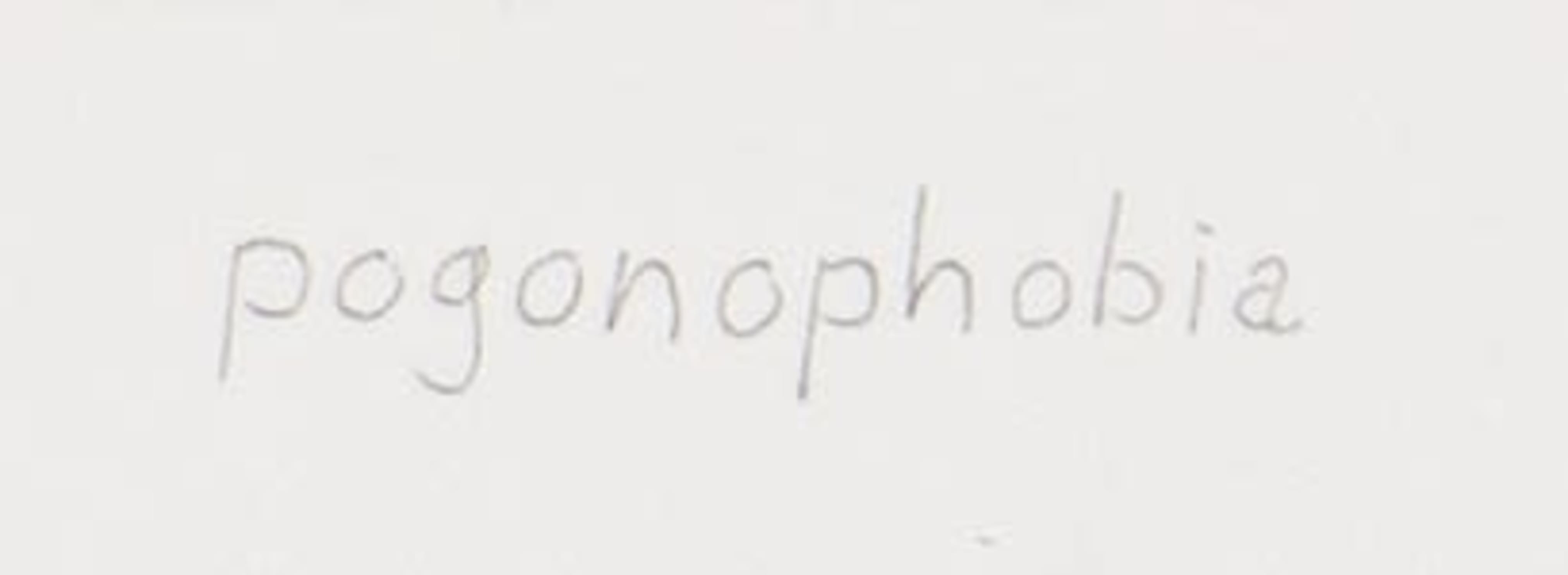 Pogonophobia by Willem Boshoff | Strauss & Co