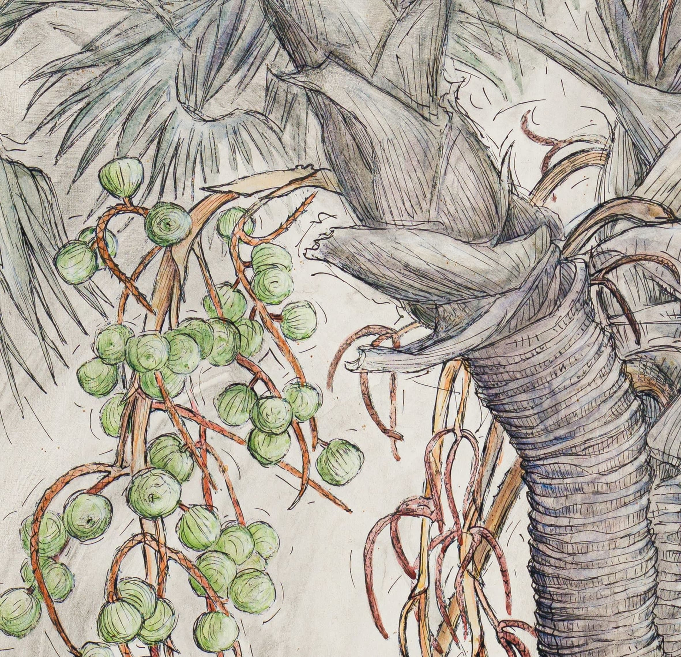 Ilala Palm (Hyphaene coriacea) by Barbara Tyrrell | Strauss & Co