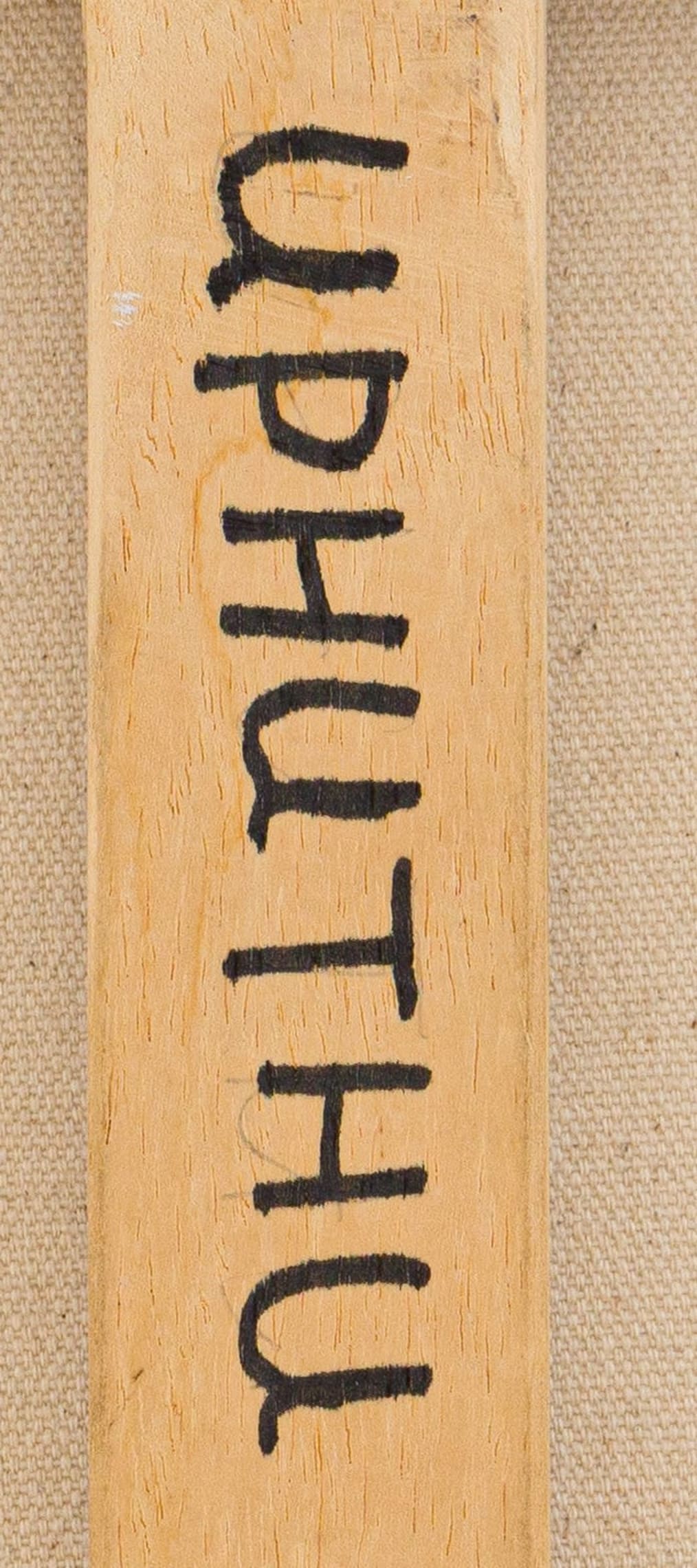 Uphuthu by Sipho Ndlovu | Strauss & Co