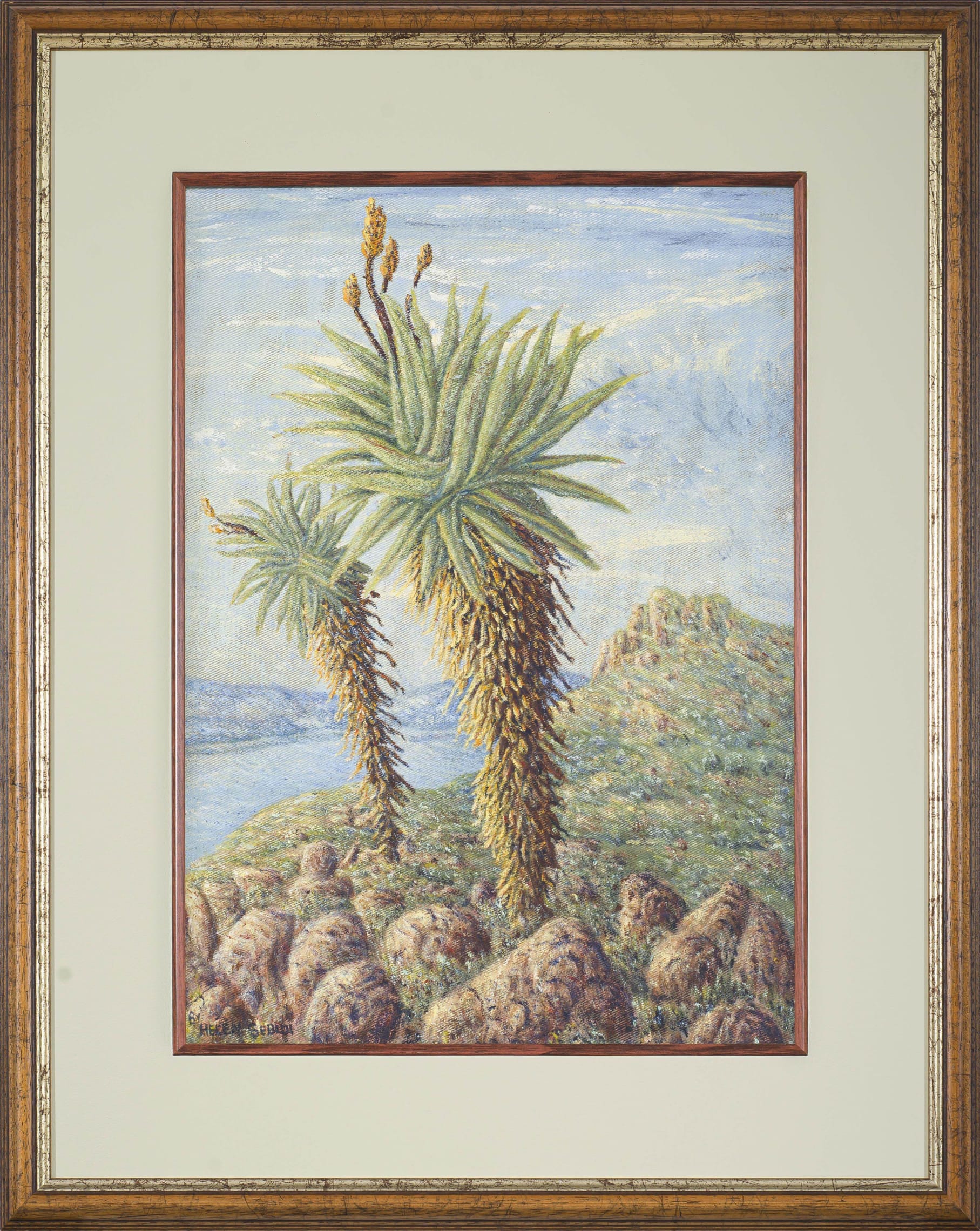 Aloes by Mmakgabo Mmapula Helen Sebidi | Strauss & Co