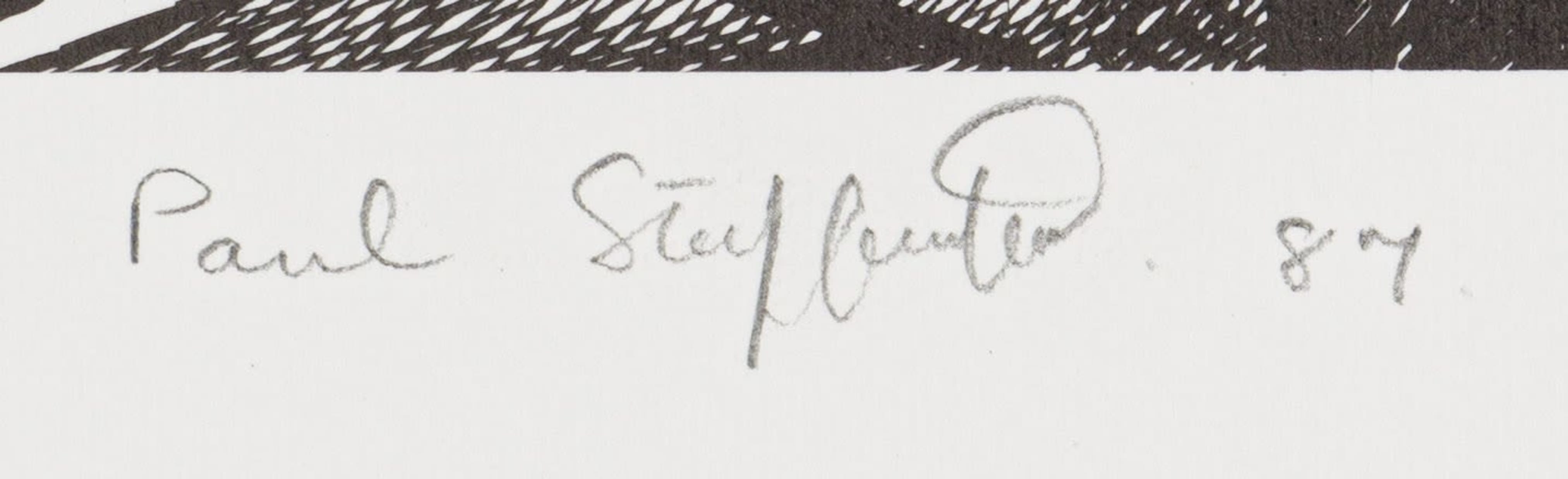 A Collection of Prints, portfolio, ten by Paul Stopforth | Strauss & Co