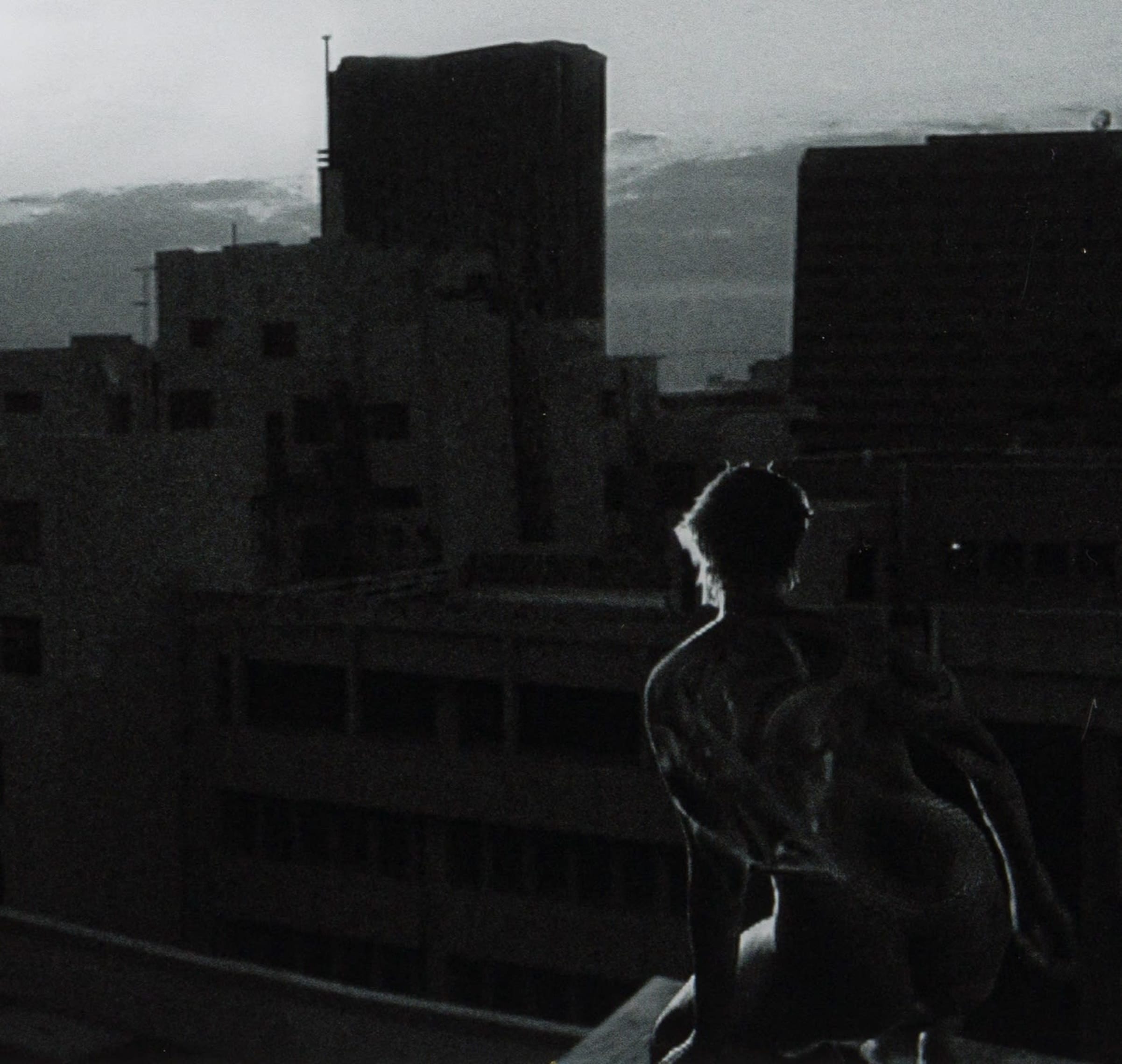 Sentinel IV by Minnette Vári | Strauss & Co