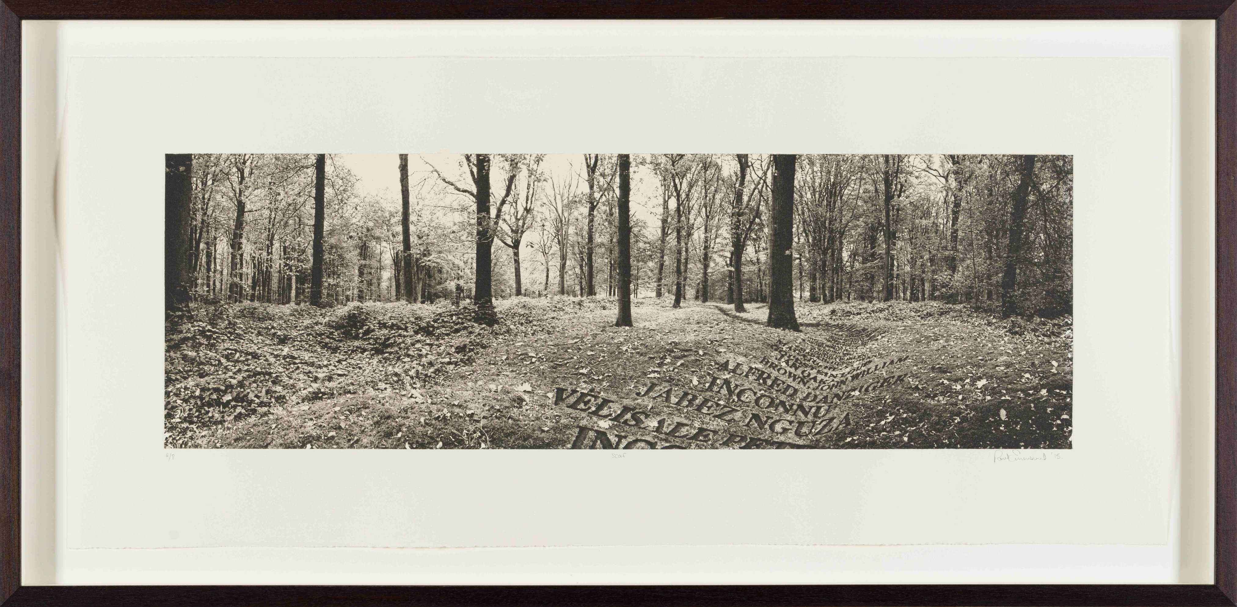 Scar by Paul Emmanuel | Strauss & Co