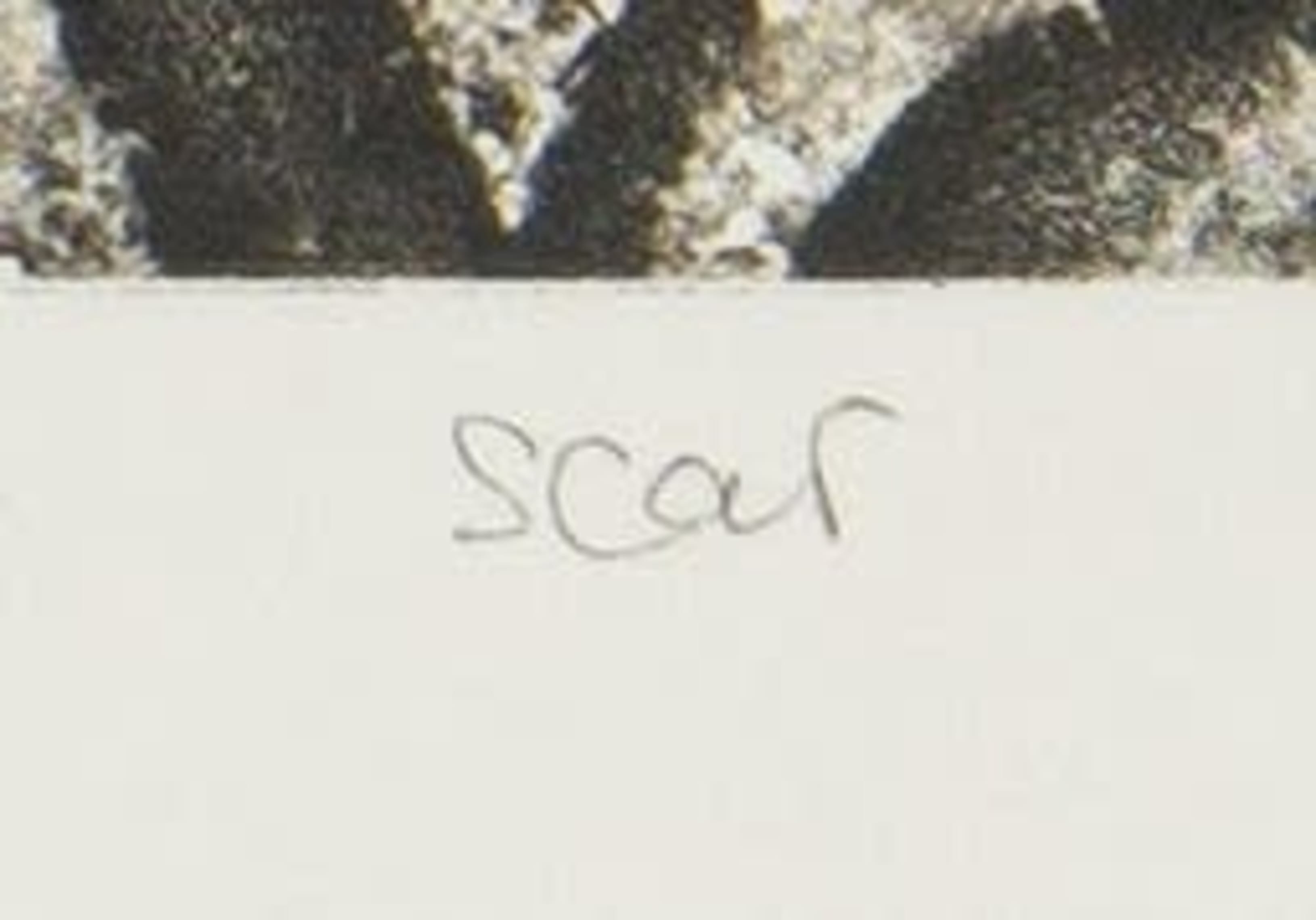 Scar by Paul Emmanuel | Strauss & Co