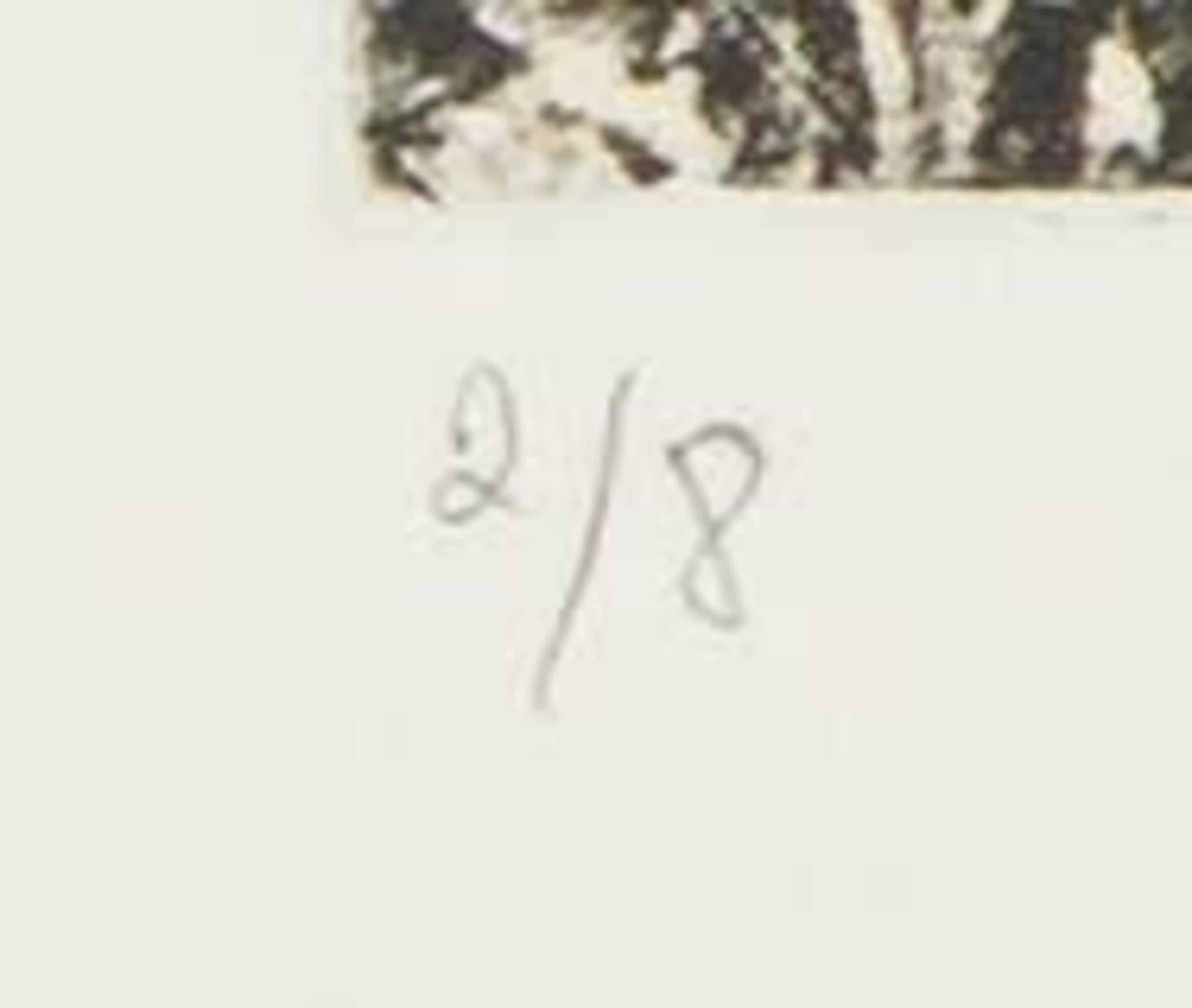 Scar by Paul Emmanuel | Strauss & Co