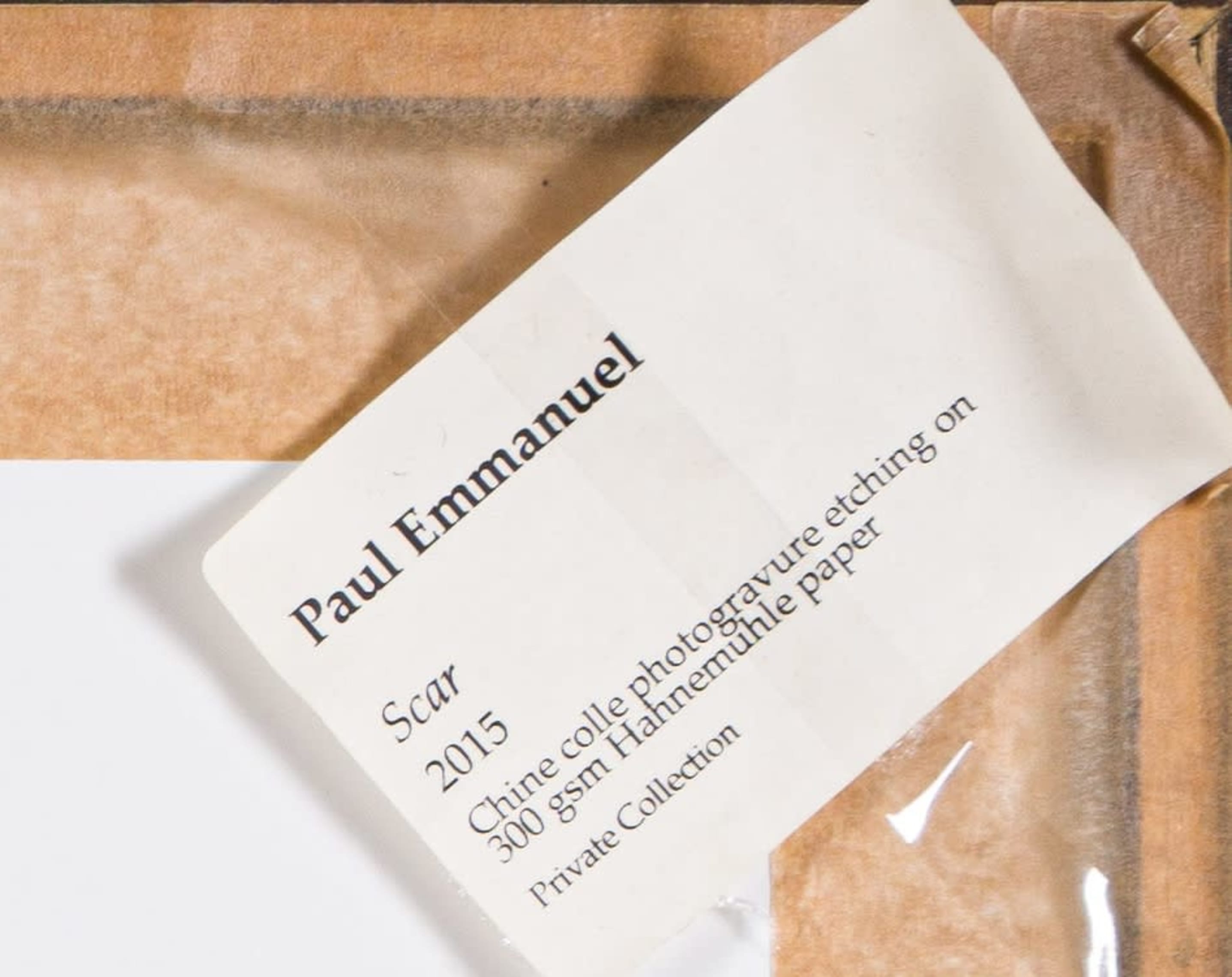 Scar by Paul Emmanuel | Strauss & Co