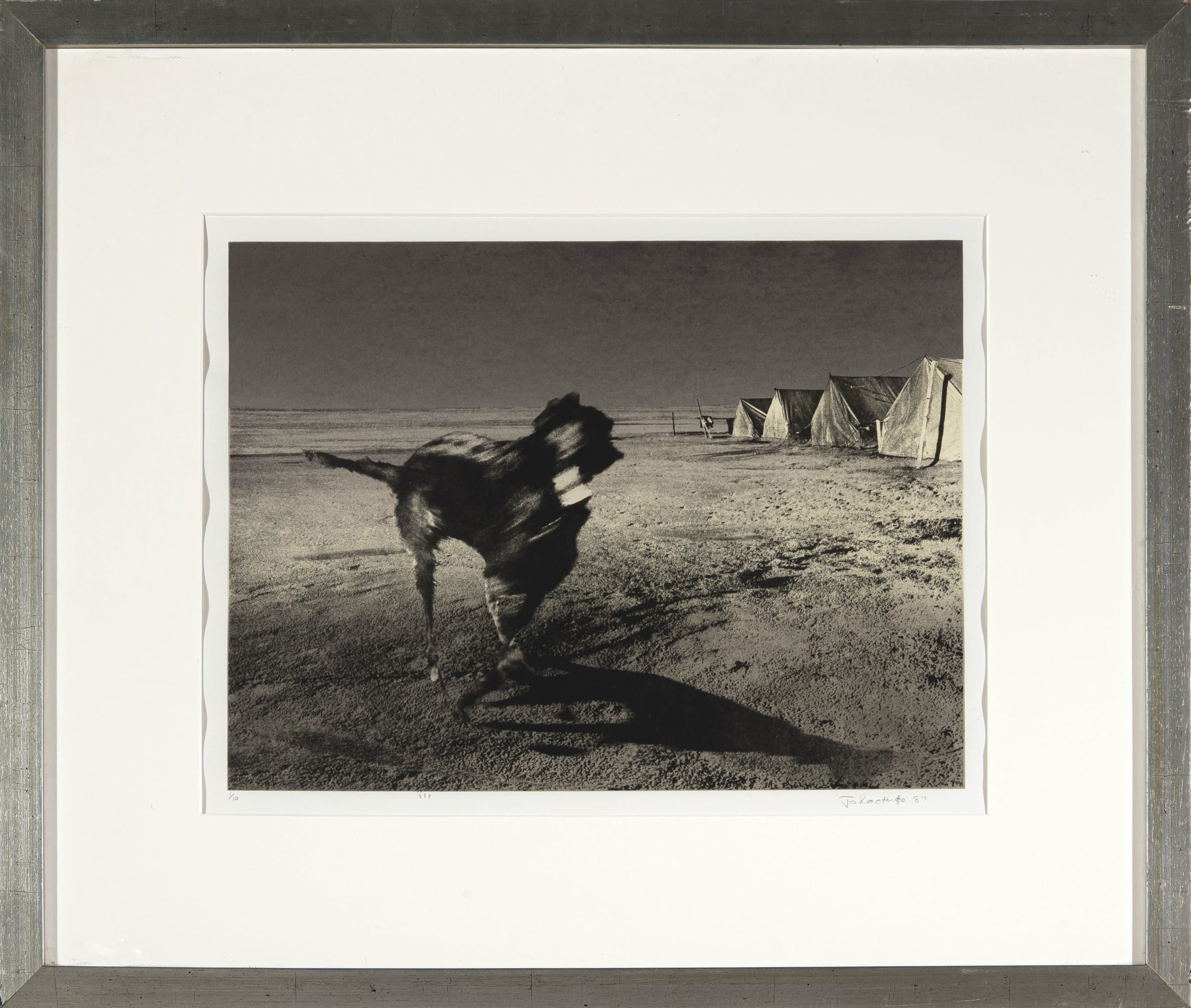 Nadir 2 by Jo Ratcliffe | Strauss & Co