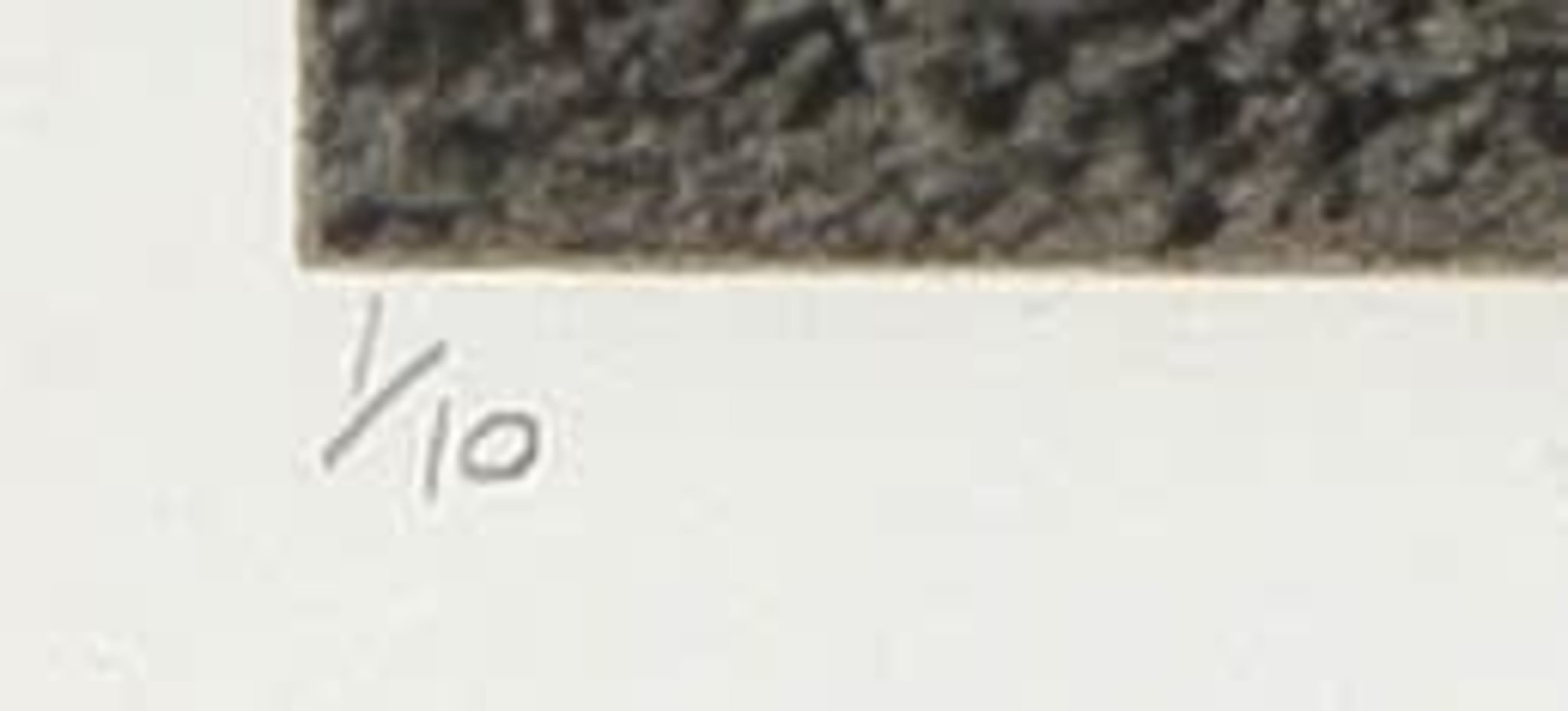 Nadir 2 by Jo Ratcliffe | Strauss & Co