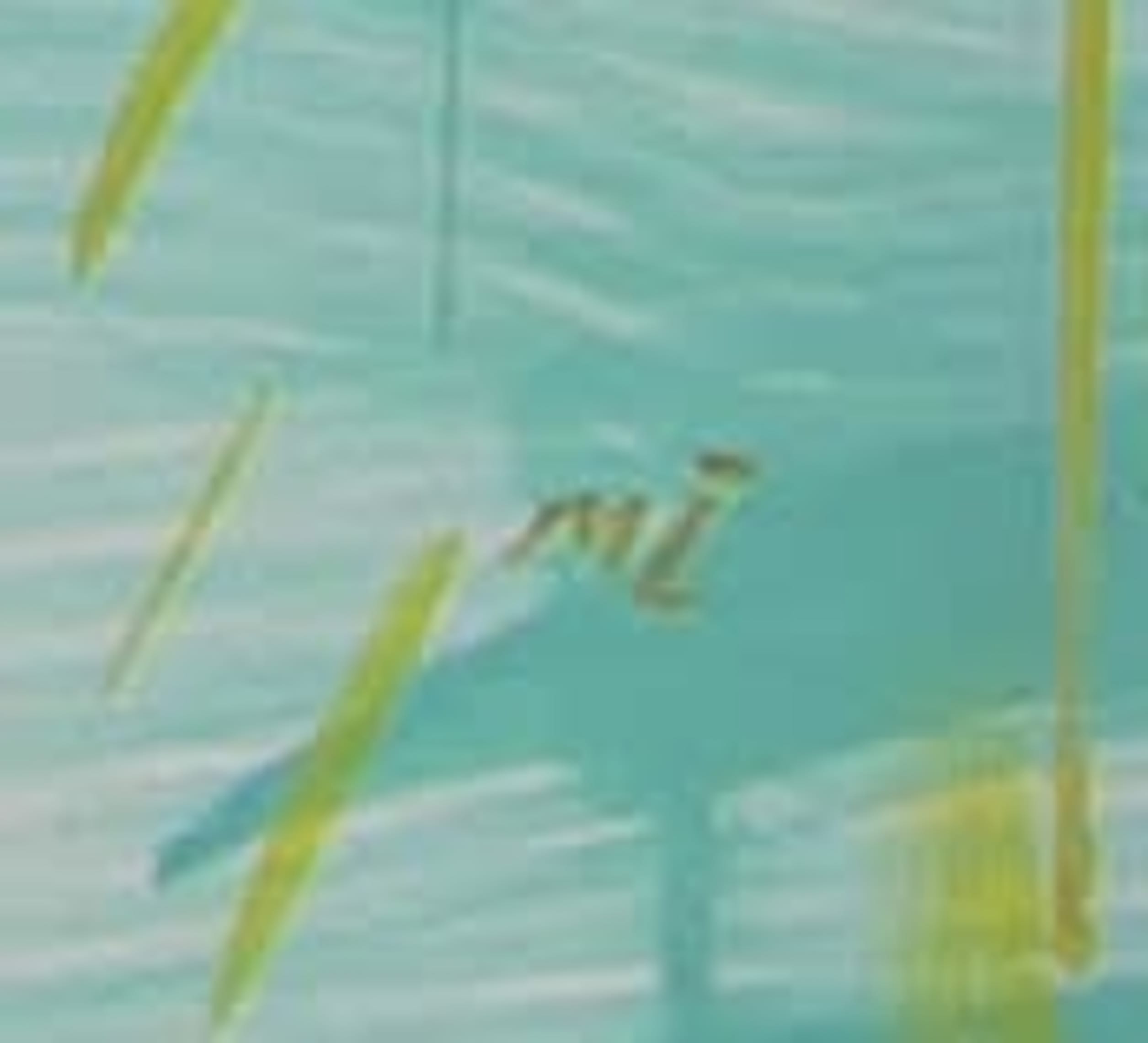 The Sorry Bunch by Michael Taylor | Strauss & Co