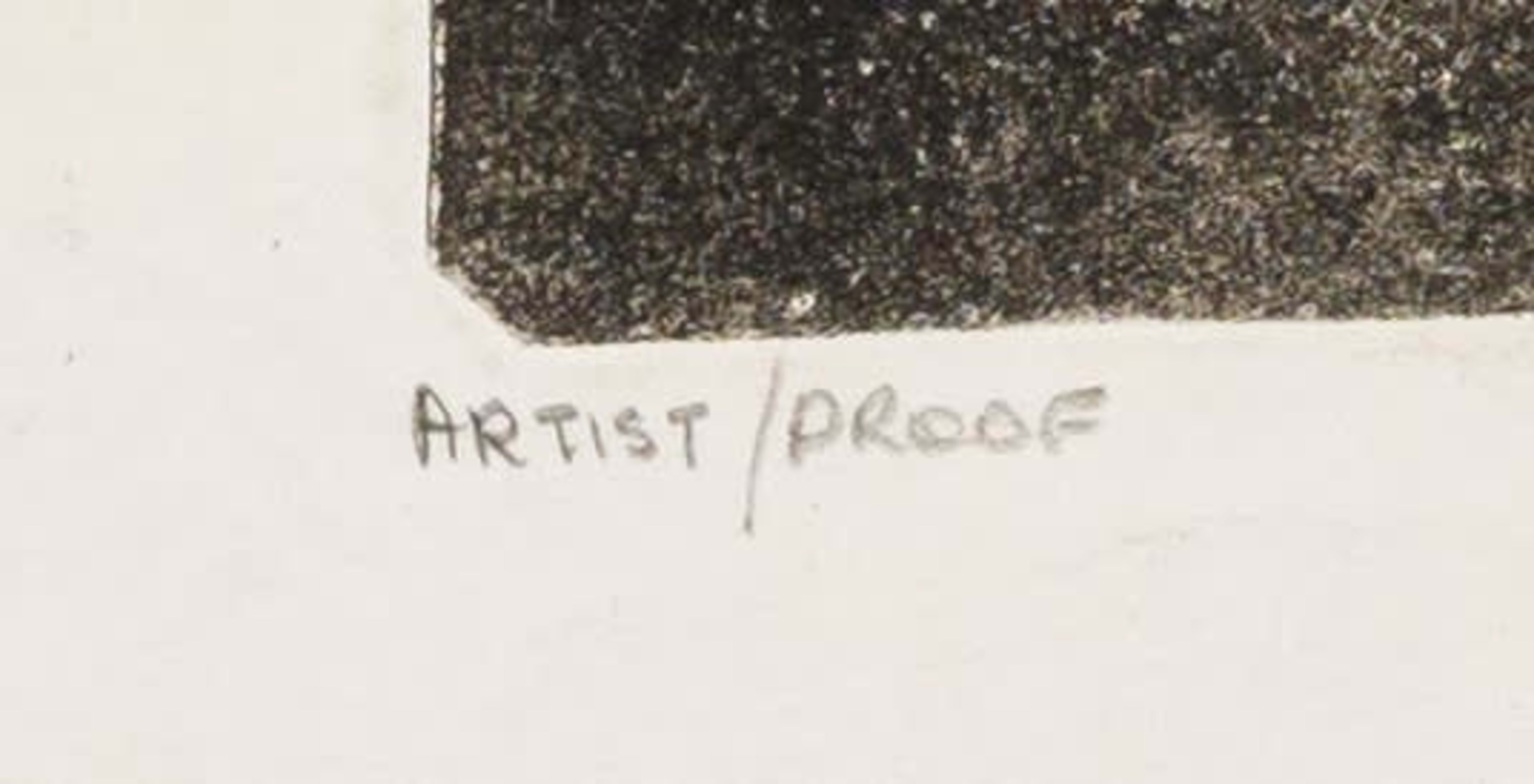 Strangers at Night by Eric Mbatha | Strauss & Co