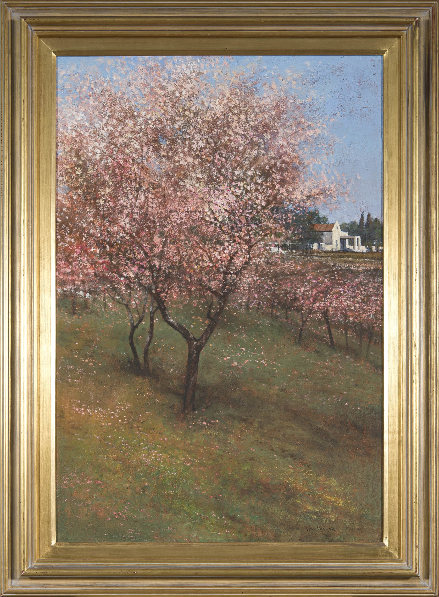 Blossoms by John Meyer | Strauss & Co