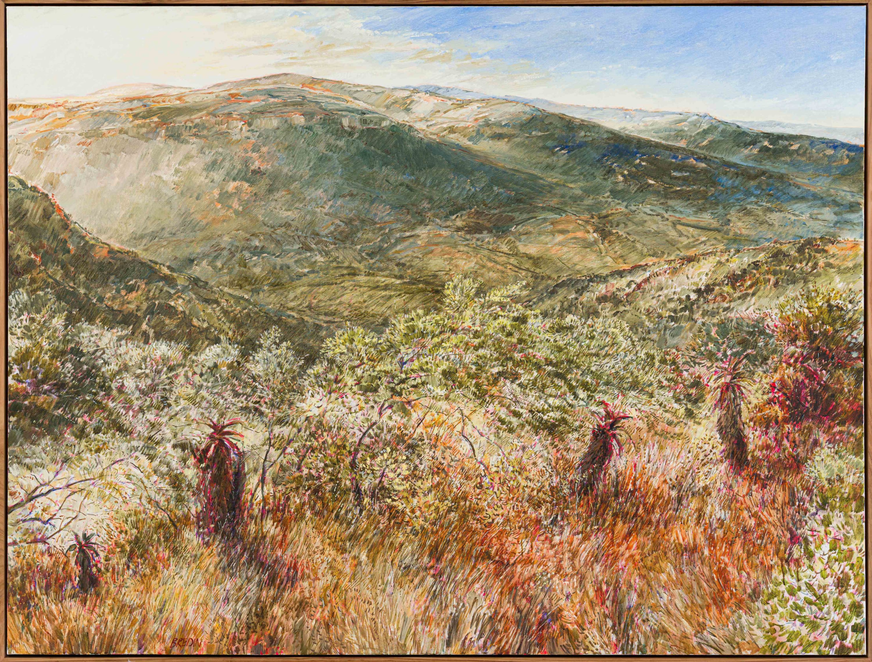 Hilton College Estate – Winter Aloes by Scott Bredin | Strauss & Co