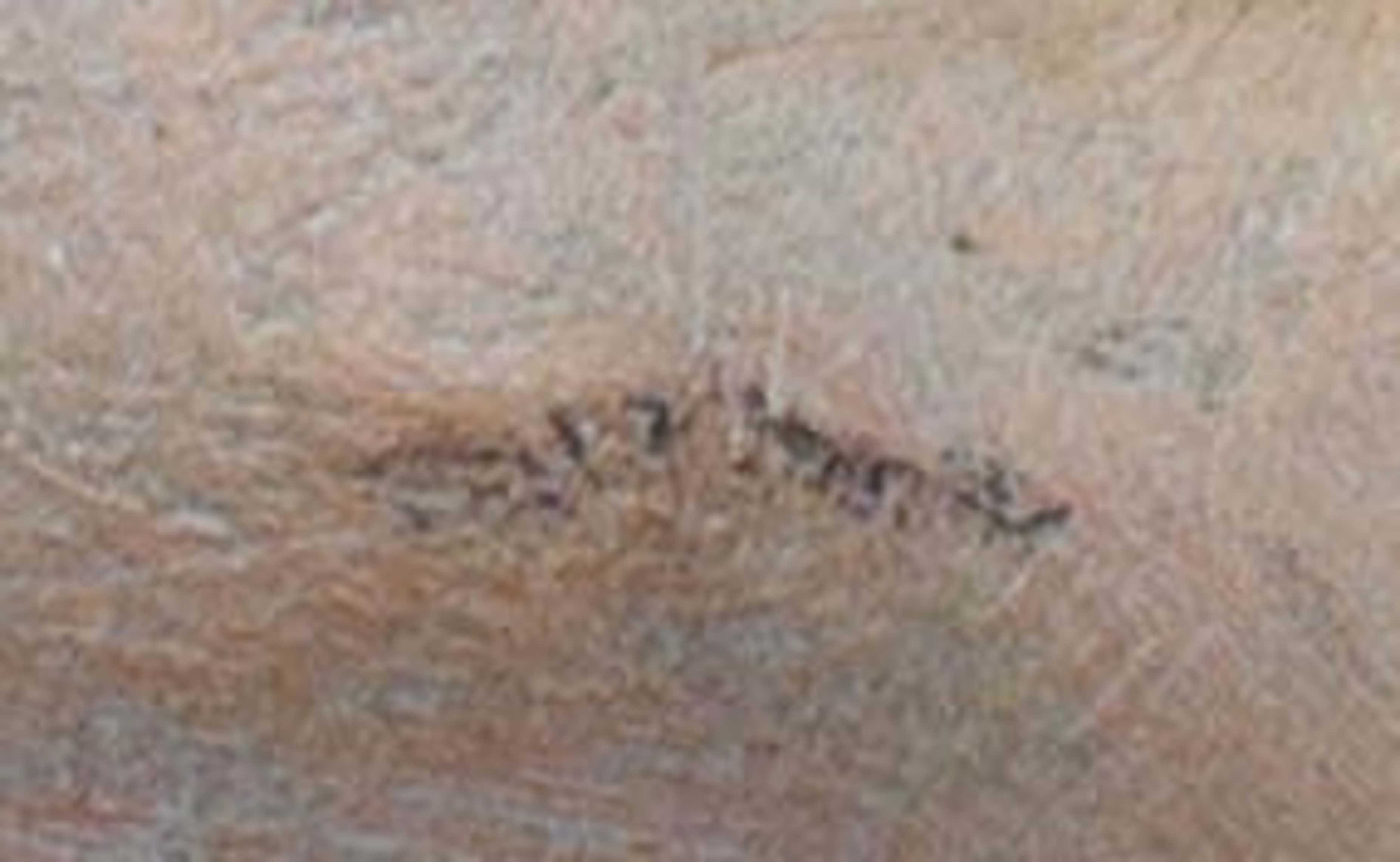 Untitled by Peter Schütz | Strauss & Co