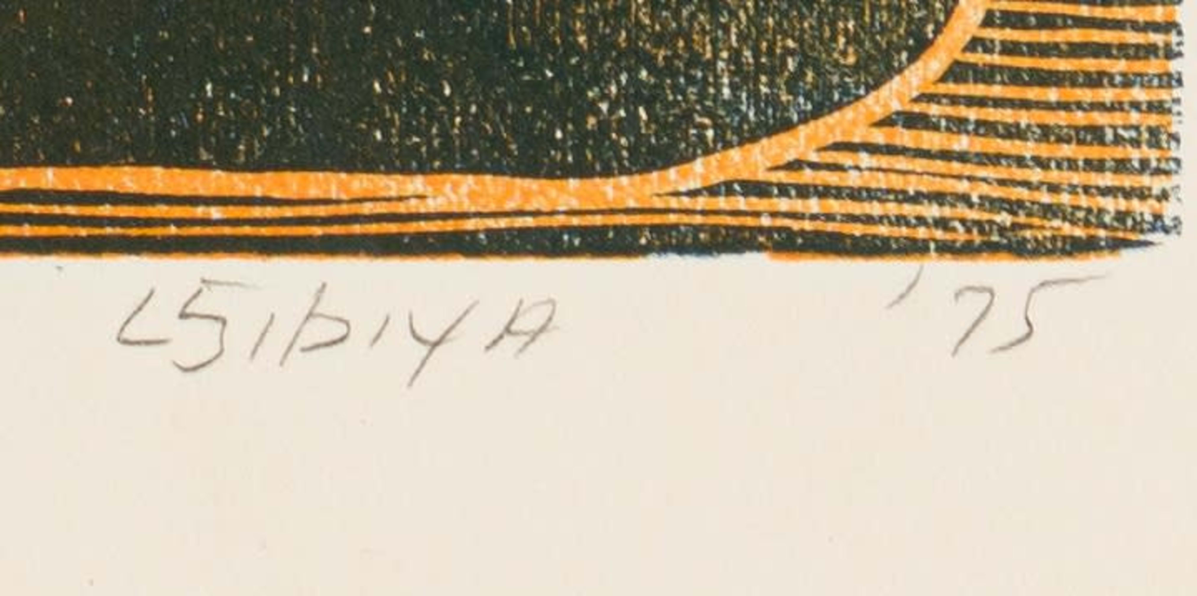 The Death of Mbatha by Lucky Sibiya | Strauss & Co