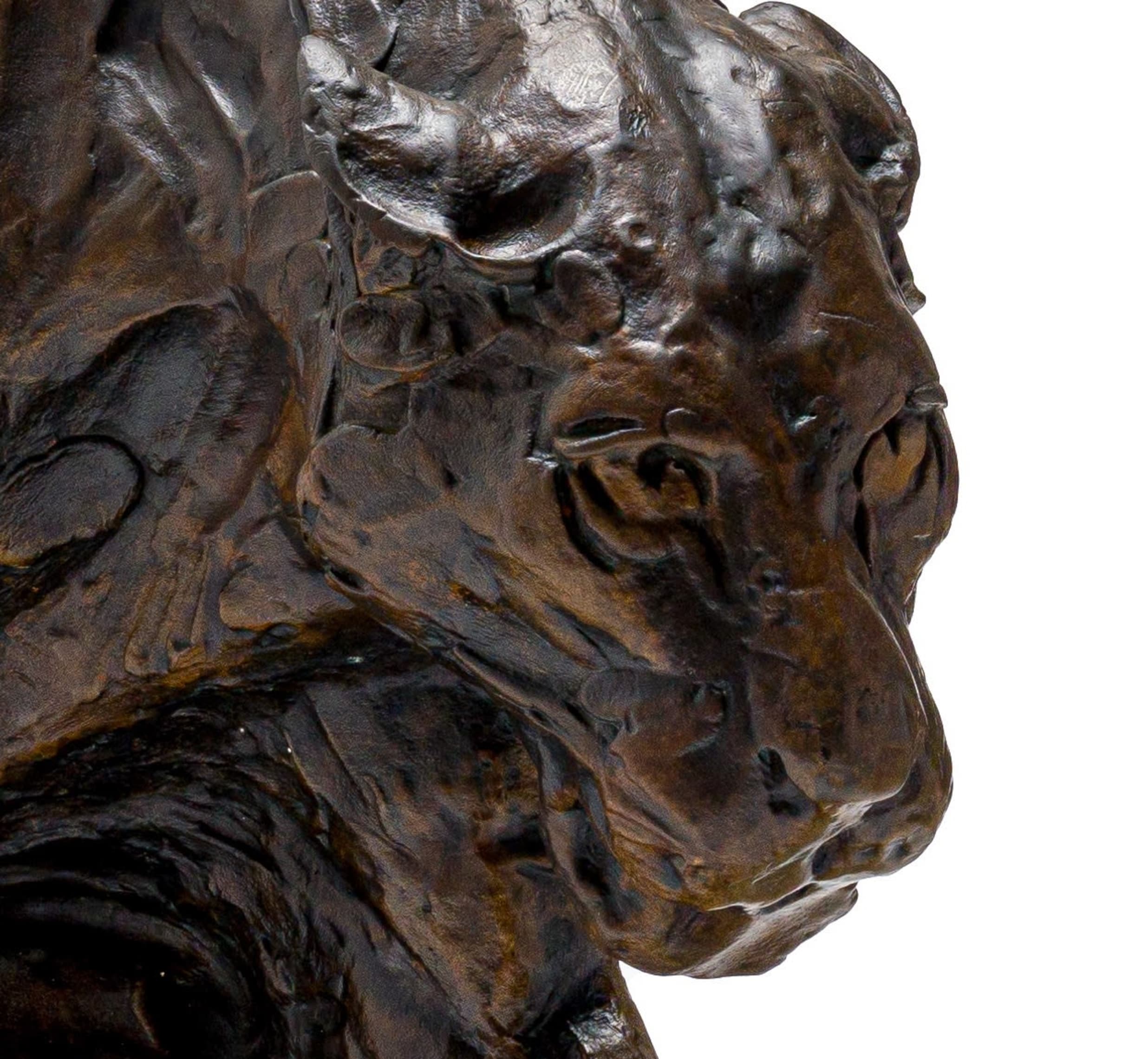 Walking Leopard by Dylan Lewis | Strauss & Co