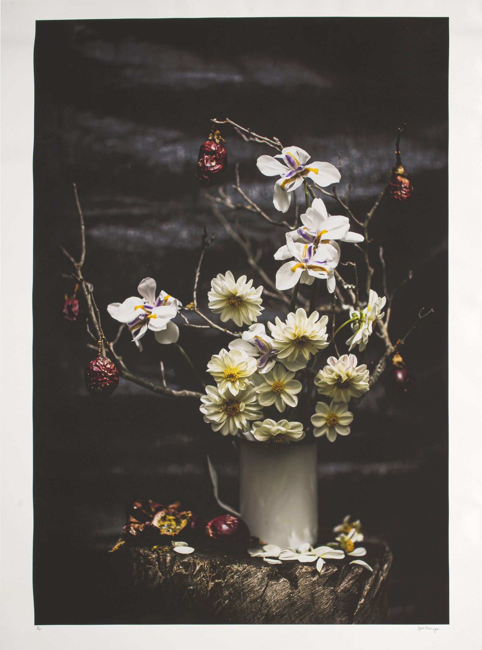 Granadilla by Joe Dreyer | Strauss & Co