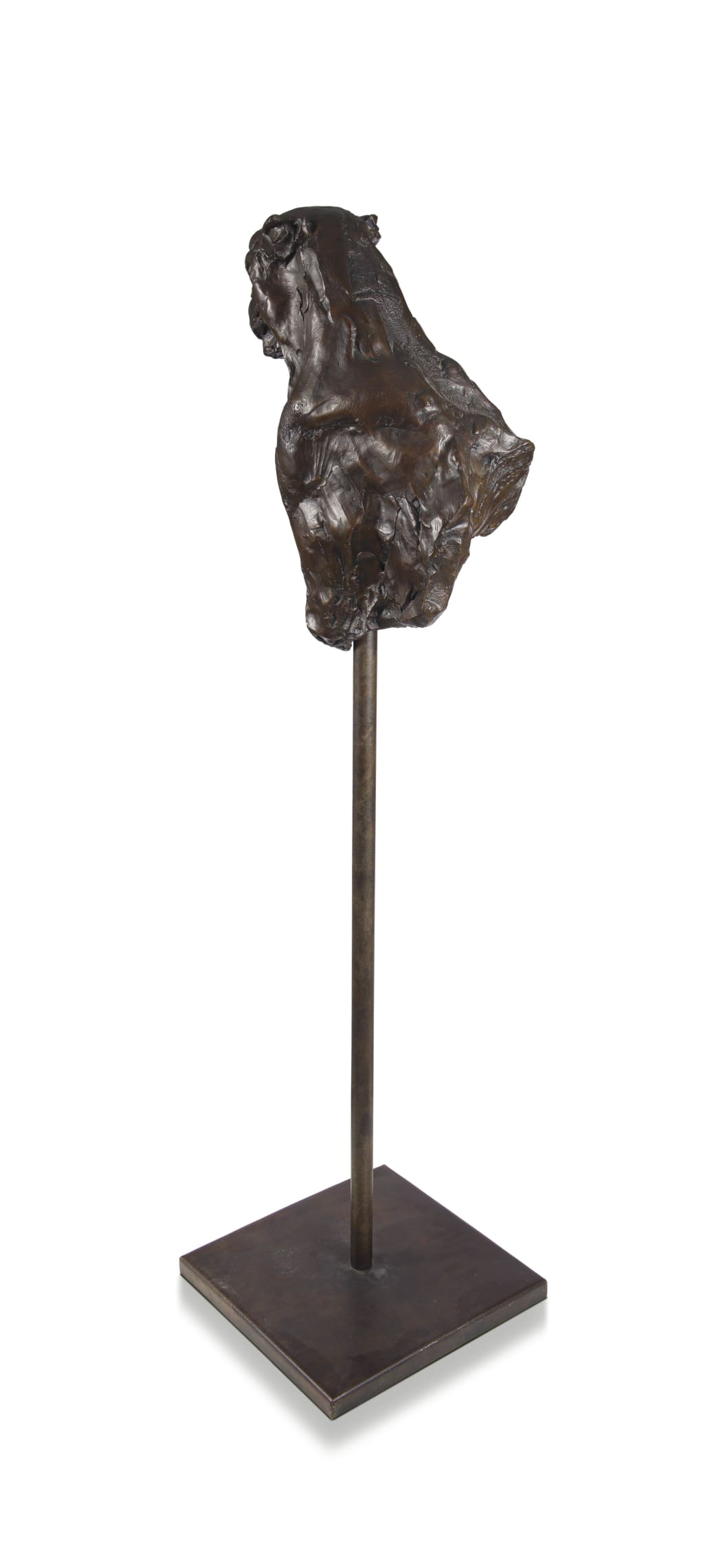 Leopard Bust (S108A) by Dylan Lewis | Strauss & Co