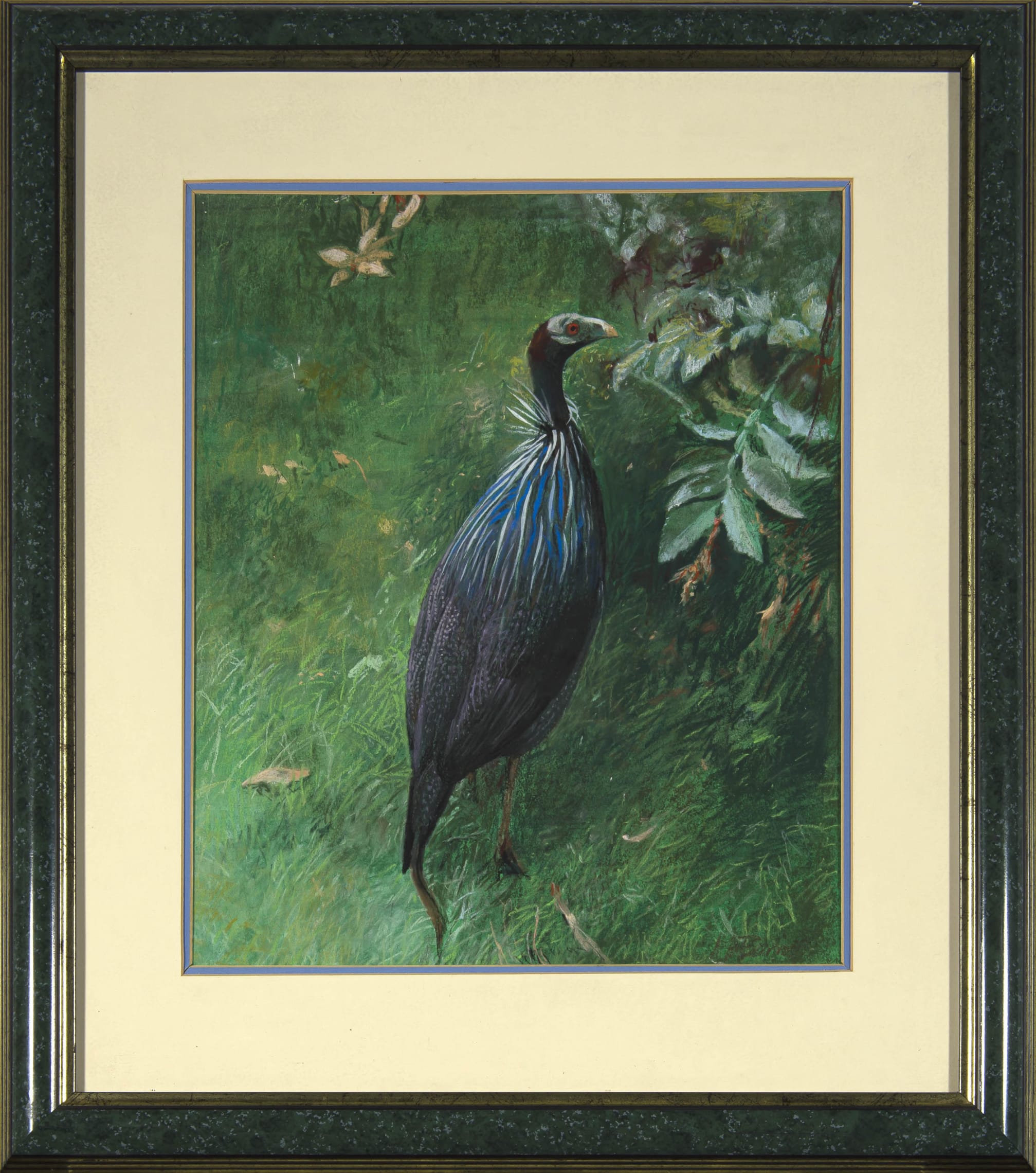 Crested Guinea Fowl by Arthur Howard Barrett | Strauss & Co