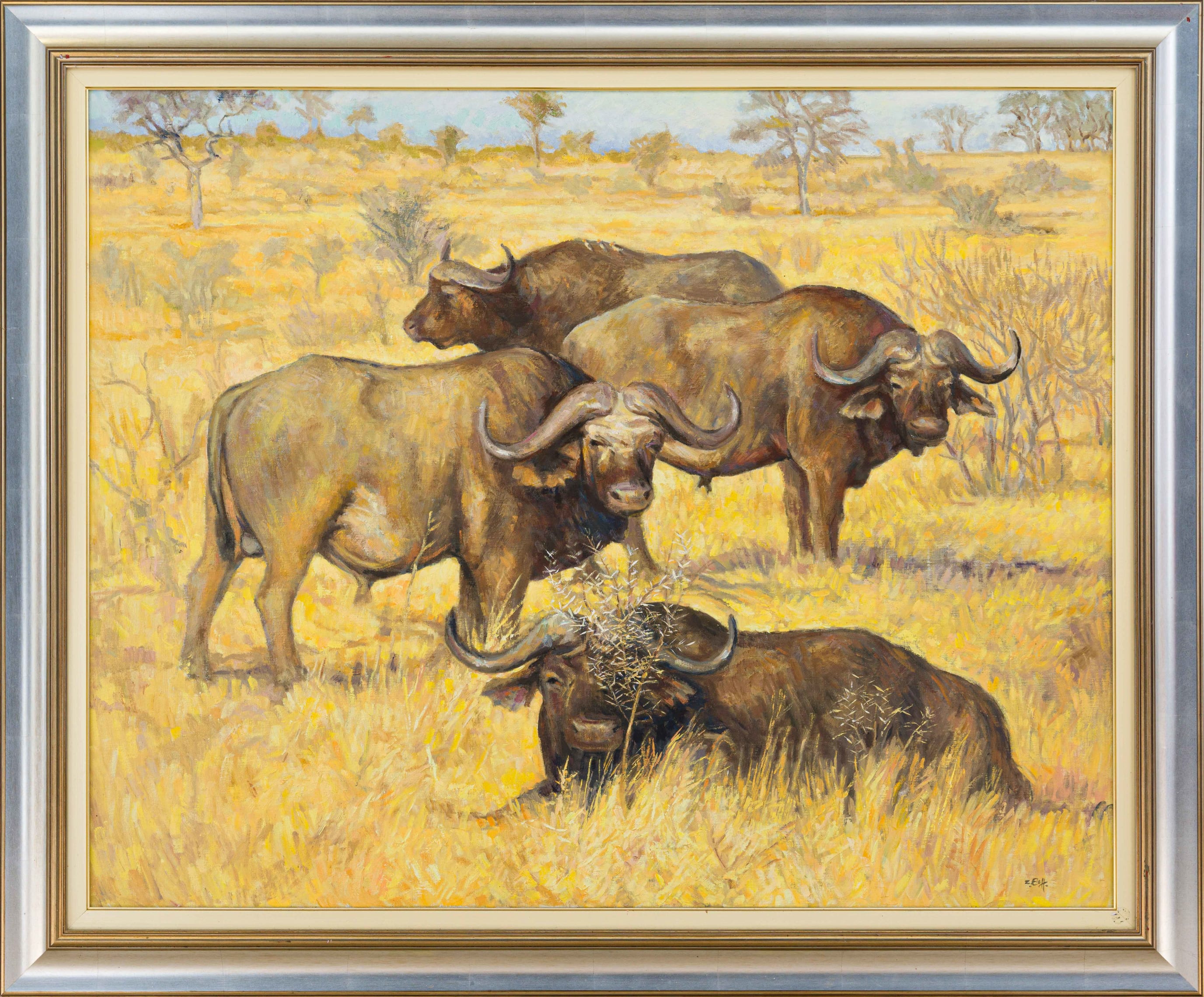 Buffalos by Zakkie Eloff | Strauss & Co