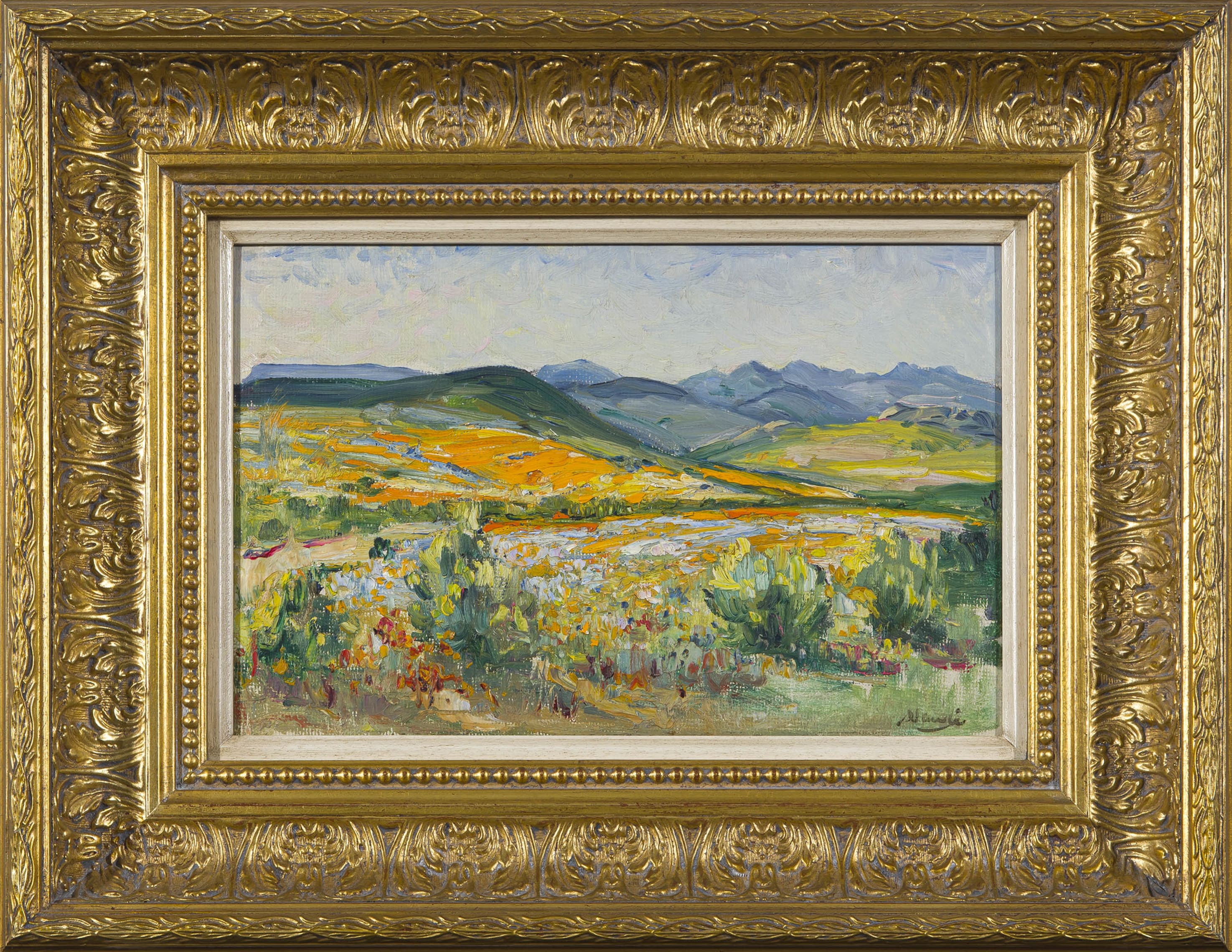 Namaqualand by Hugo Naudé | Strauss & Co