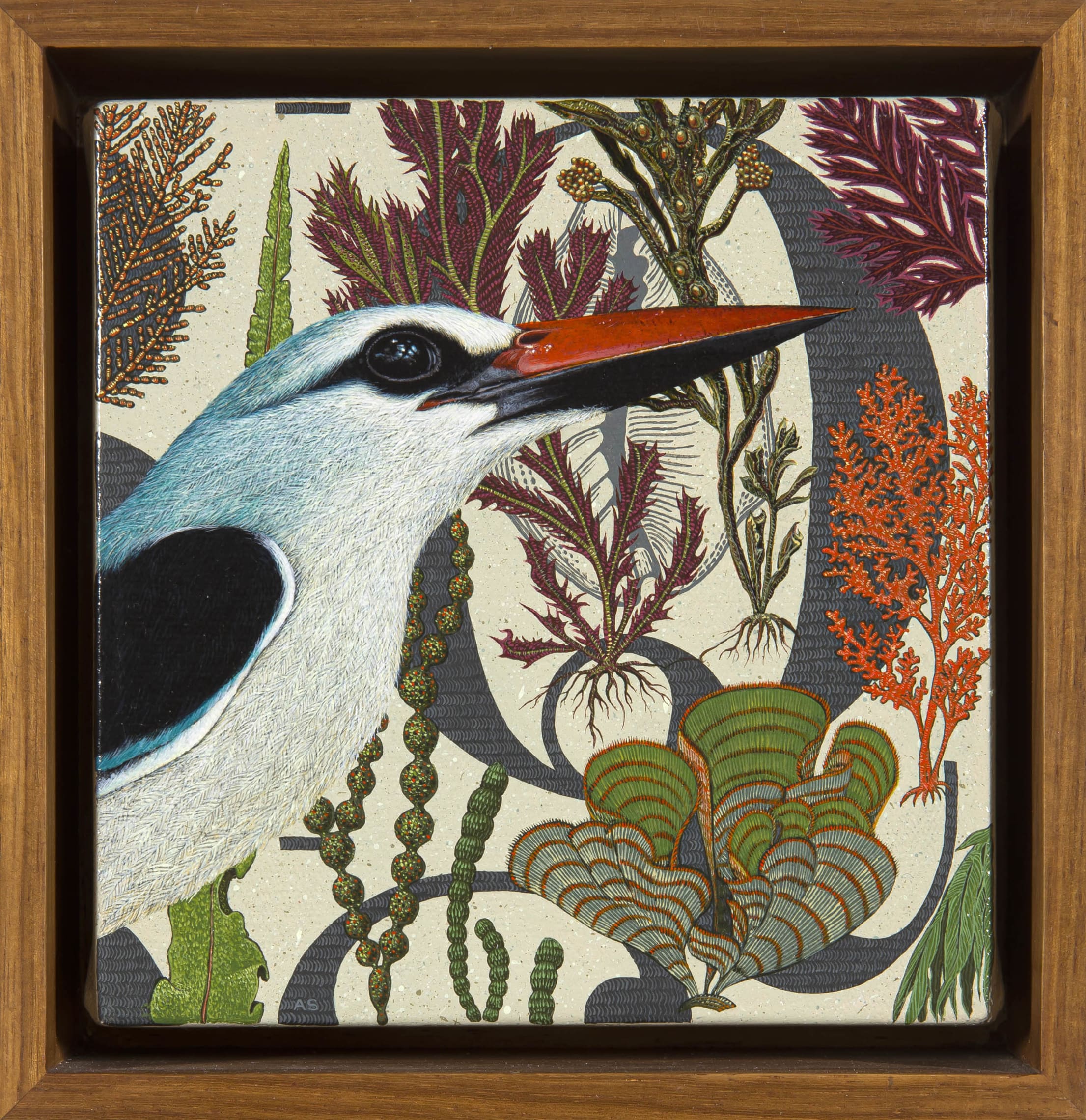 Lack of Closure by Alet Swarts | Strauss & Co