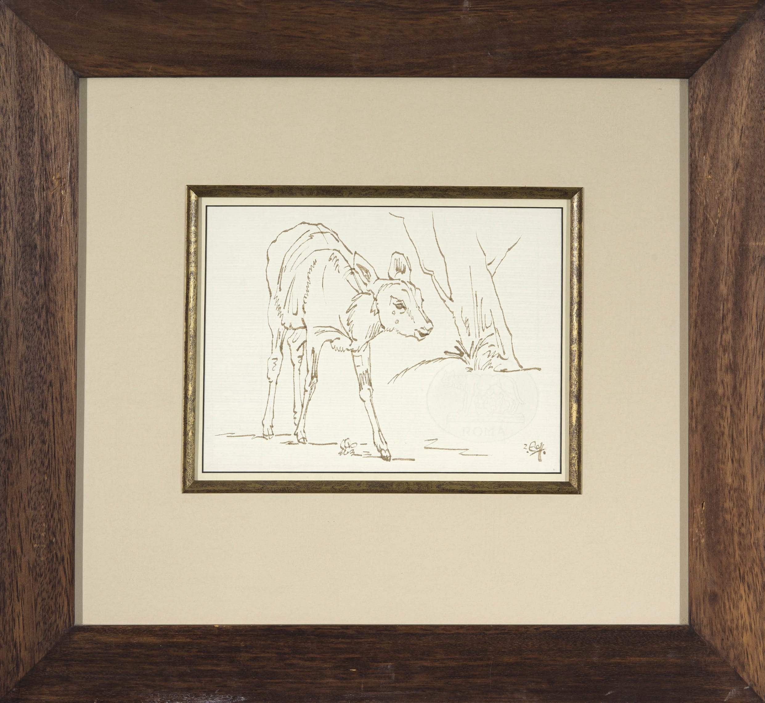 Baby Buck I by Zakkie Eloff | Strauss & Co