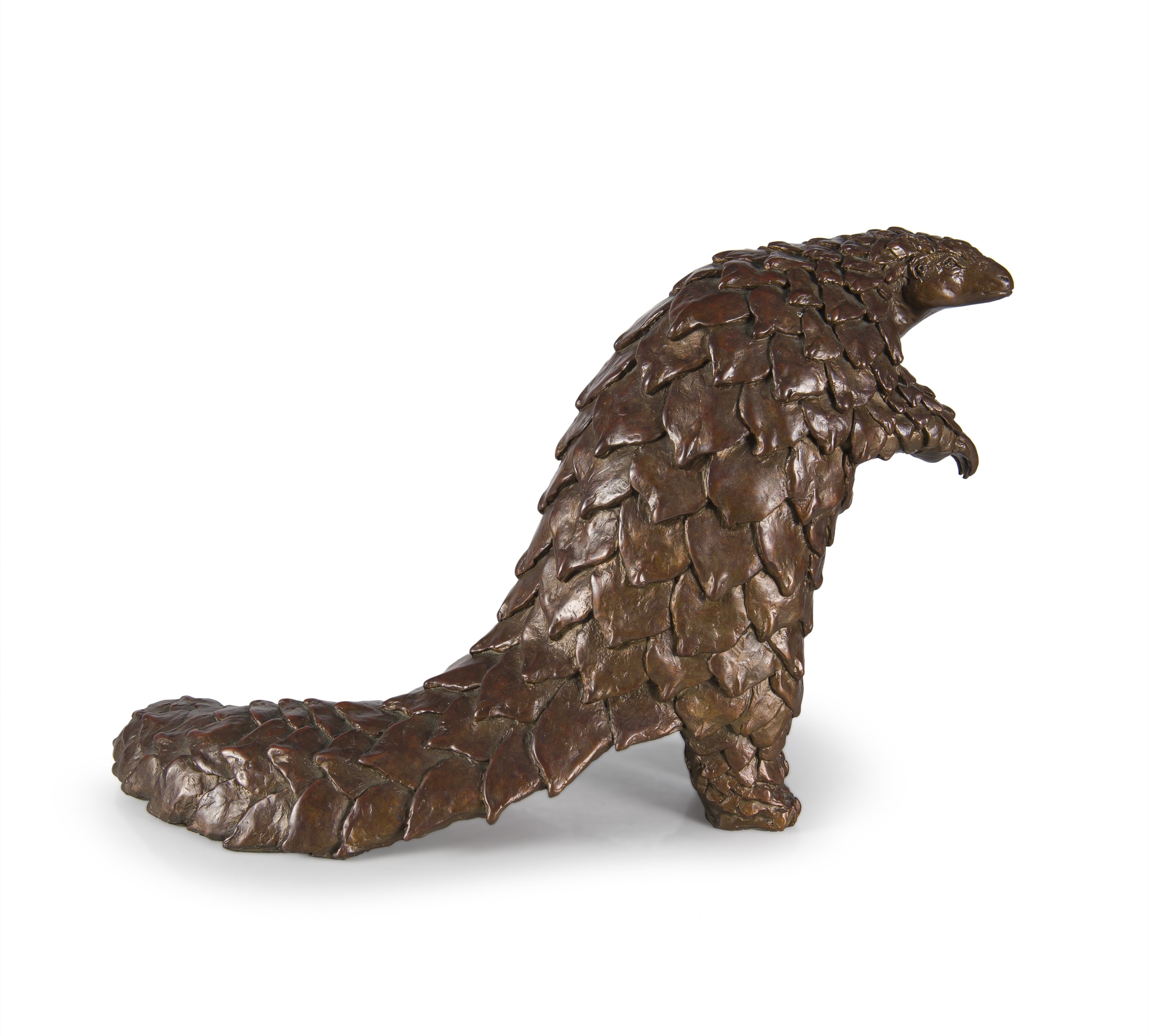 Pangolin 3 by Bridget Randall | Strauss & Co