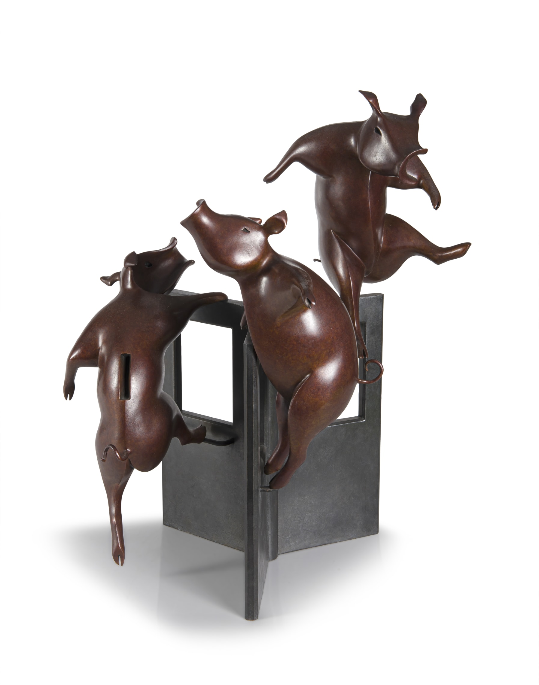The Pigs are Coming Series, eleven by Warrick Kemp | Strauss & Co