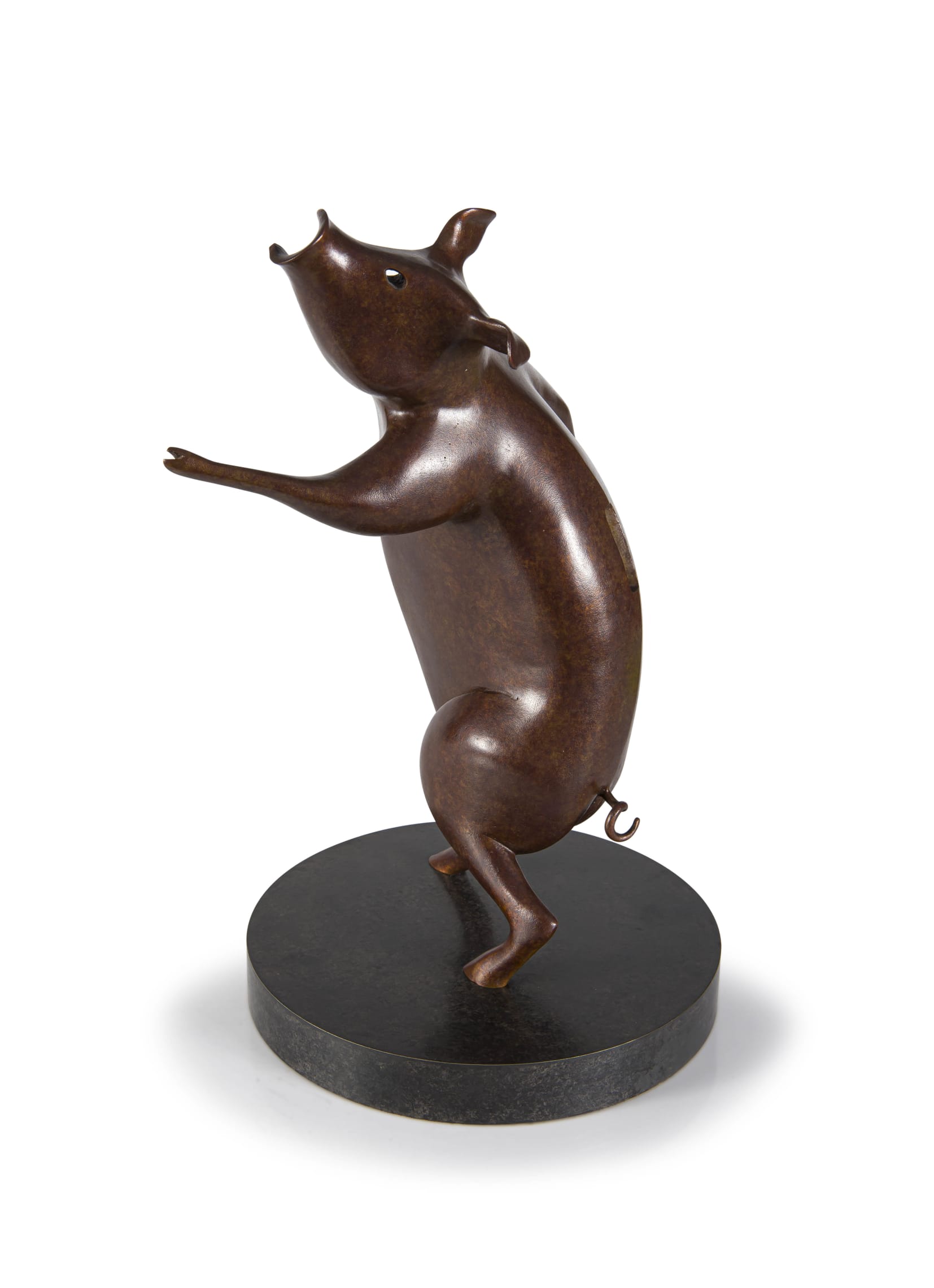 The Pigs are Coming Series, eleven by Warrick Kemp | Strauss & Co