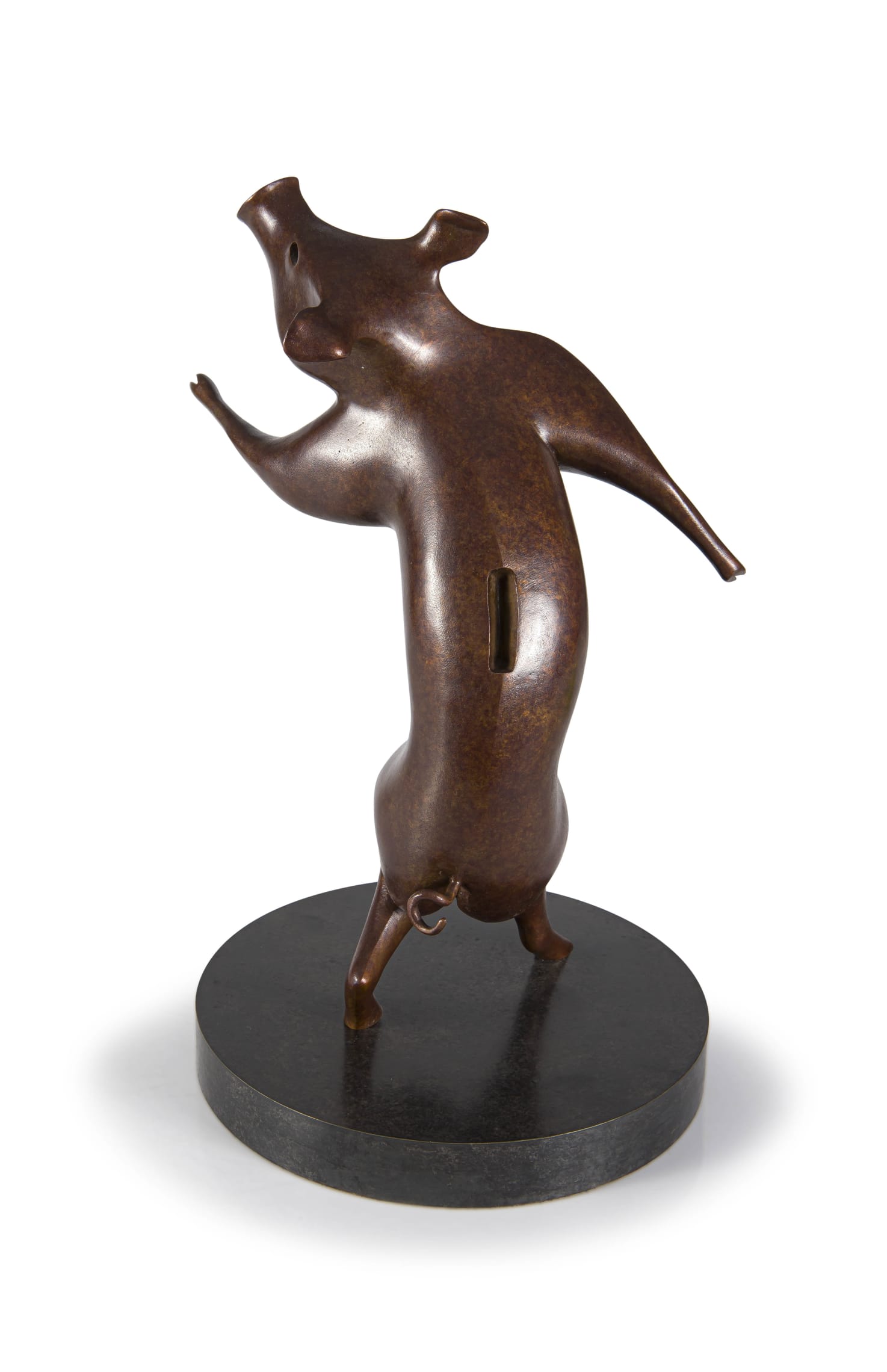 The Pigs are Coming Series, eleven by Warrick Kemp | Strauss & Co