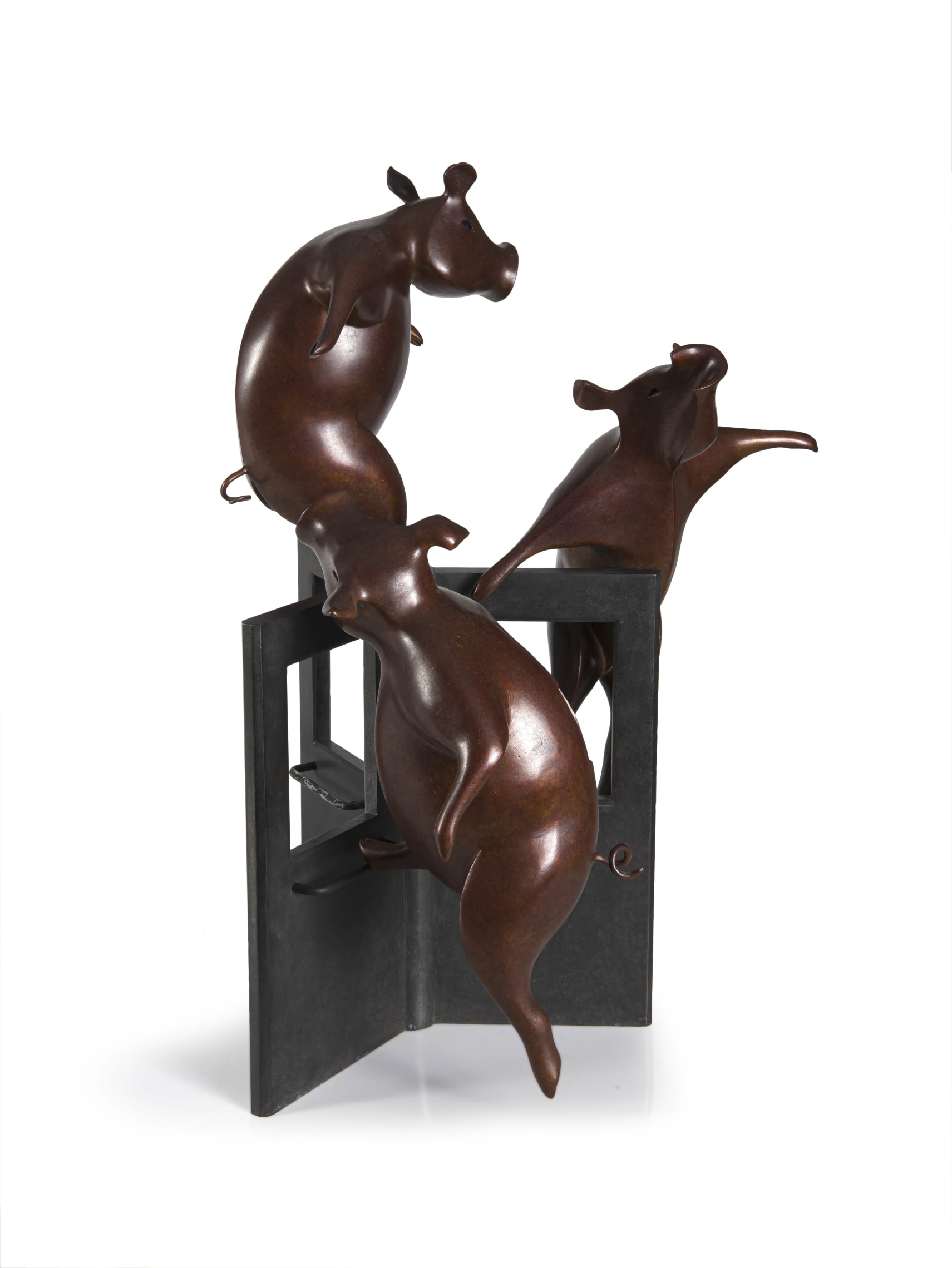 The Pigs are Coming Series, eleven by Warrick Kemp | Strauss & Co