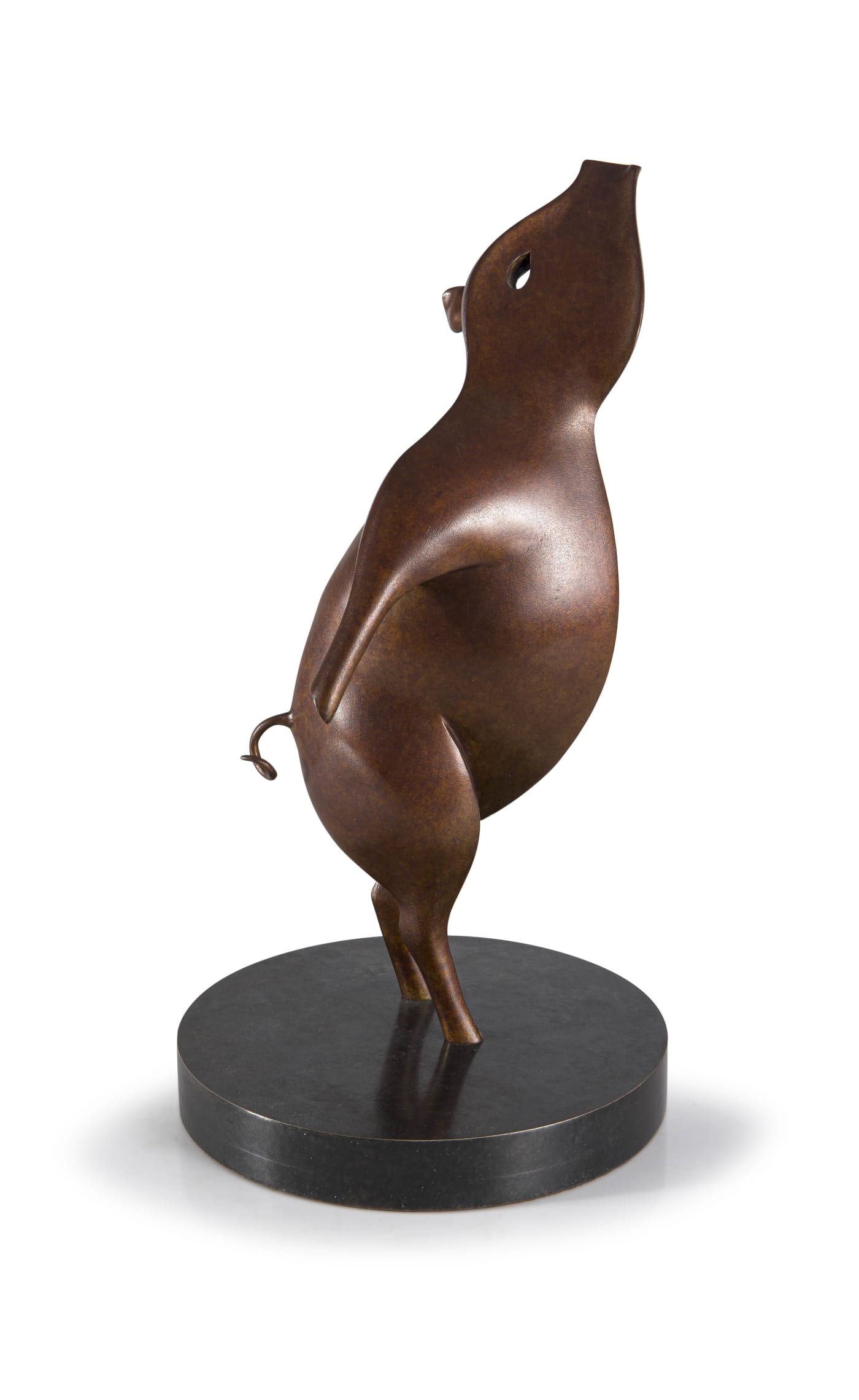 The Pigs are Coming Series, eleven by Warrick Kemp | Strauss & Co